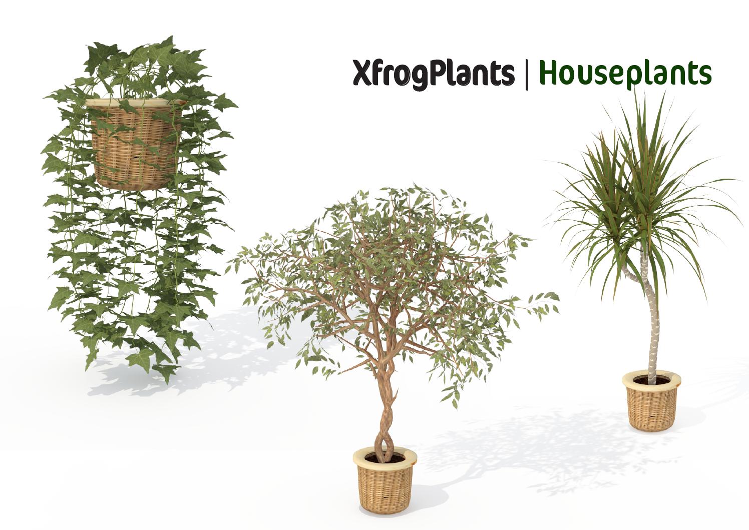 /Houseplants_XfrogPlants_ES by XFROG - Issuu