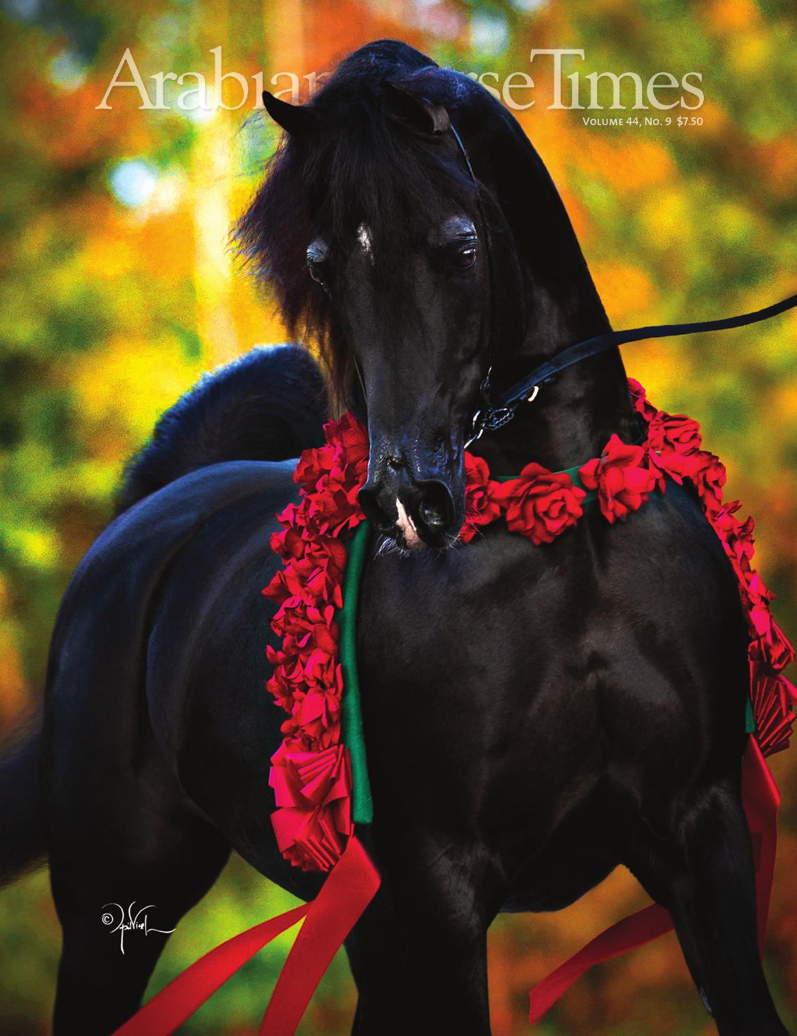 February 2014 by Arabian Horse Times - Issuu