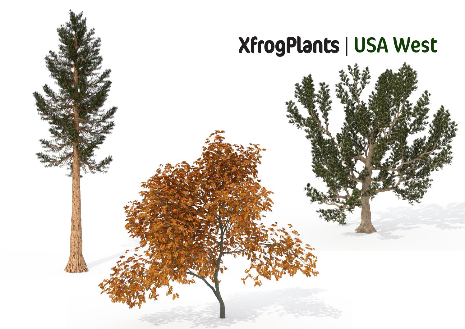 /USA_West_XfrogPlants_CI by XFROG - Issuu