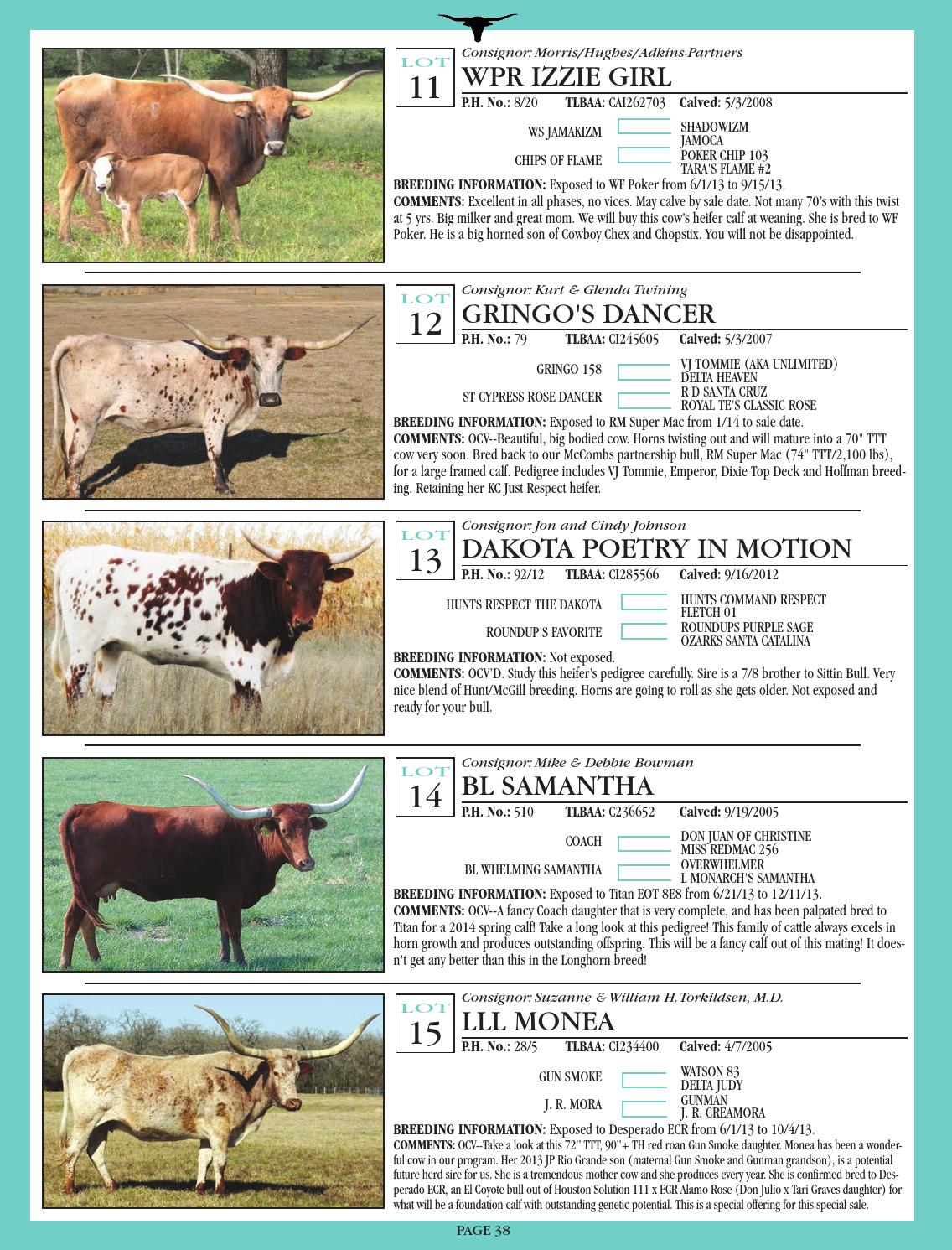 2014 Midwest Longhorn Sale Catalog by Texas Longhorn Trails Magazine ...