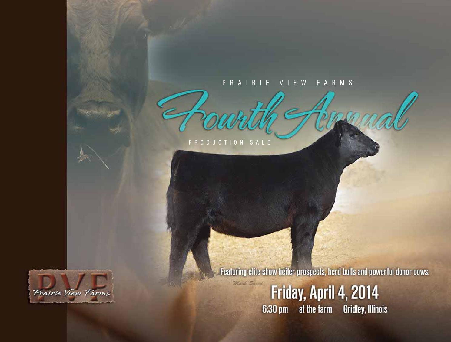 2014 Prairie View Angus Catalog by Ranch House Designs - Issuu
