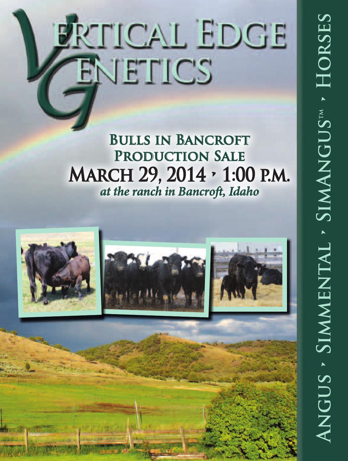 Vertical Edge Genetics by Monti West Design - Issuu