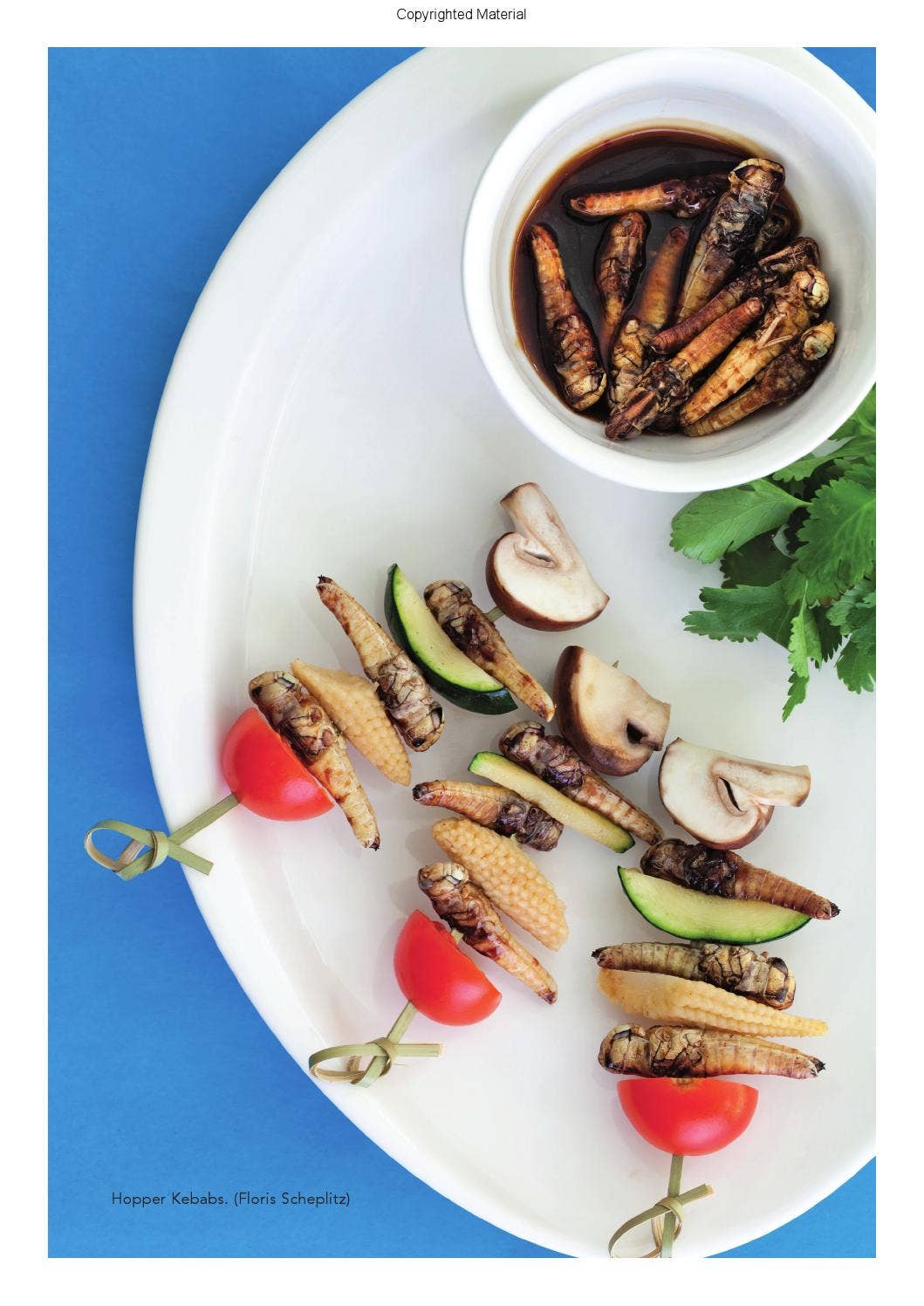 Recipes from The Insect Cookbook by Columbia University Press - Issuu