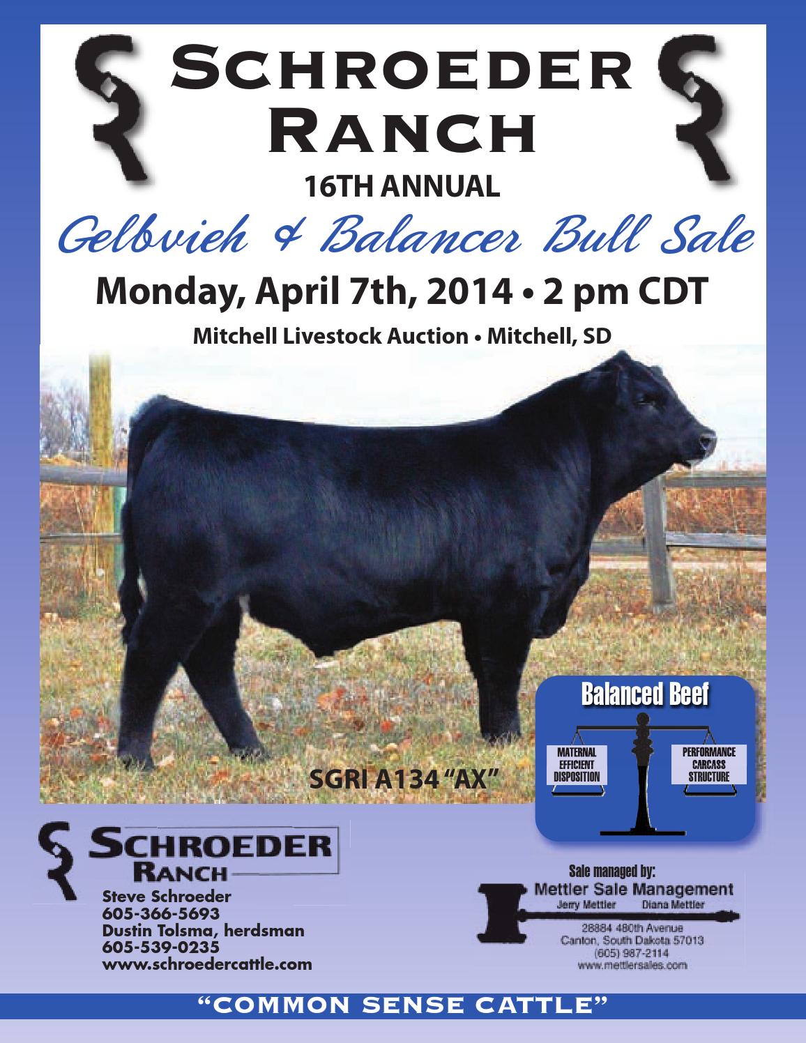 Schroeder Ranch 16th Annual Gelbvieh & Balancer Bull Sale by American ...
