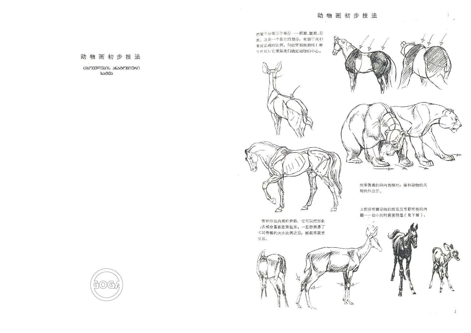 Cxovelebis anatomiuri xatva 2 by Lazary - Issuu