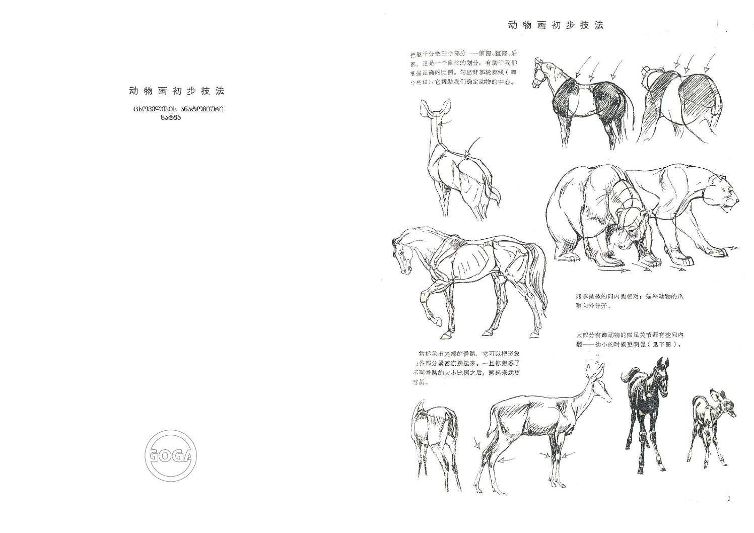 Cxovelebis anatomiuri xatva 2 by Lazary - Issuu