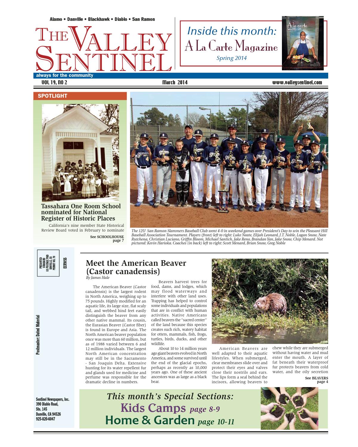 The Valley Sentinel_March 2014 by Sentinel Newspapers - Issuu