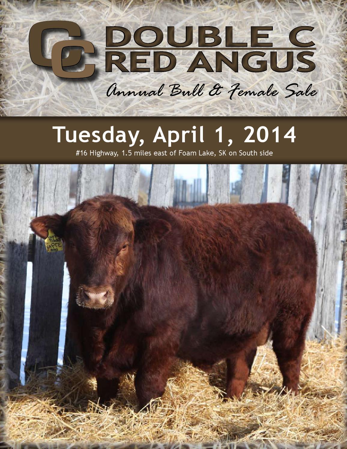 Double C Red Angus Bull & Female Sale 2014 by Everything Angus - Issuu