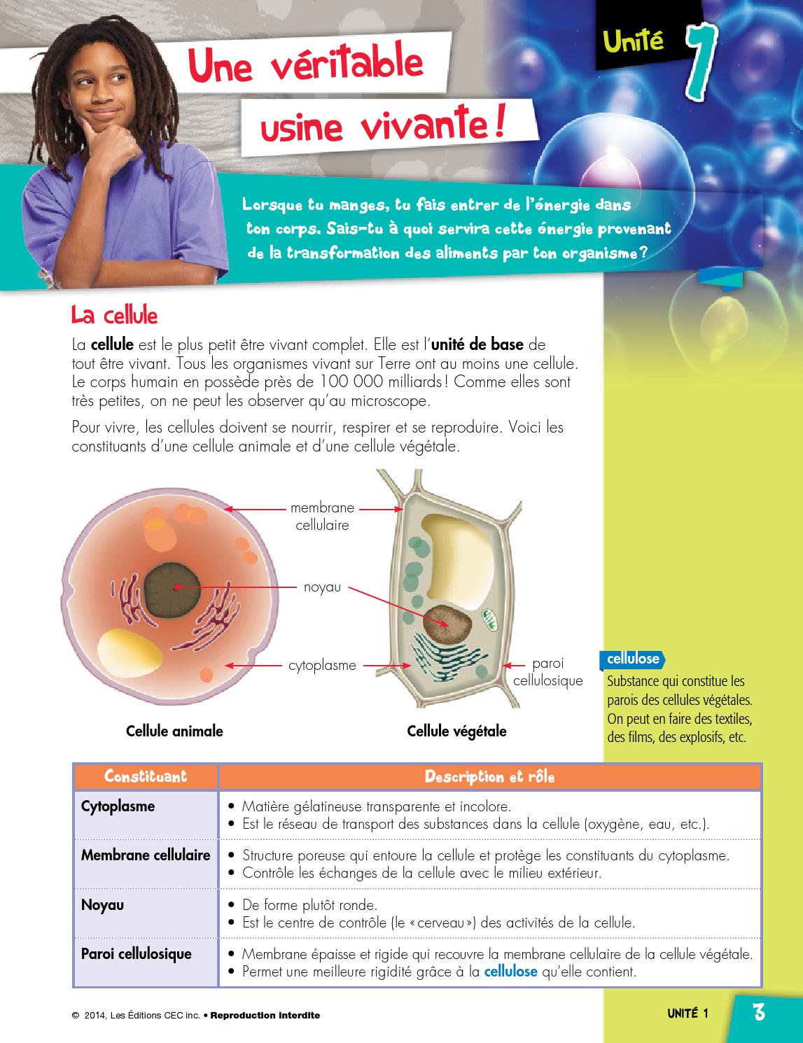 Bizz ! 6e by Les Éditions CEC - Issuu