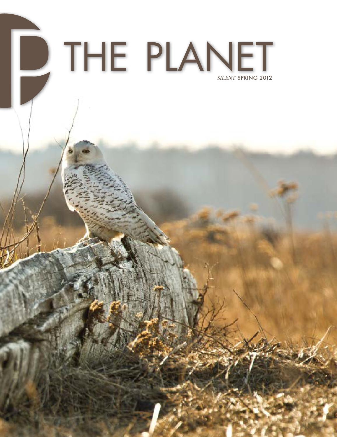 The Silent Issue by The Planet Magazine - Issuu