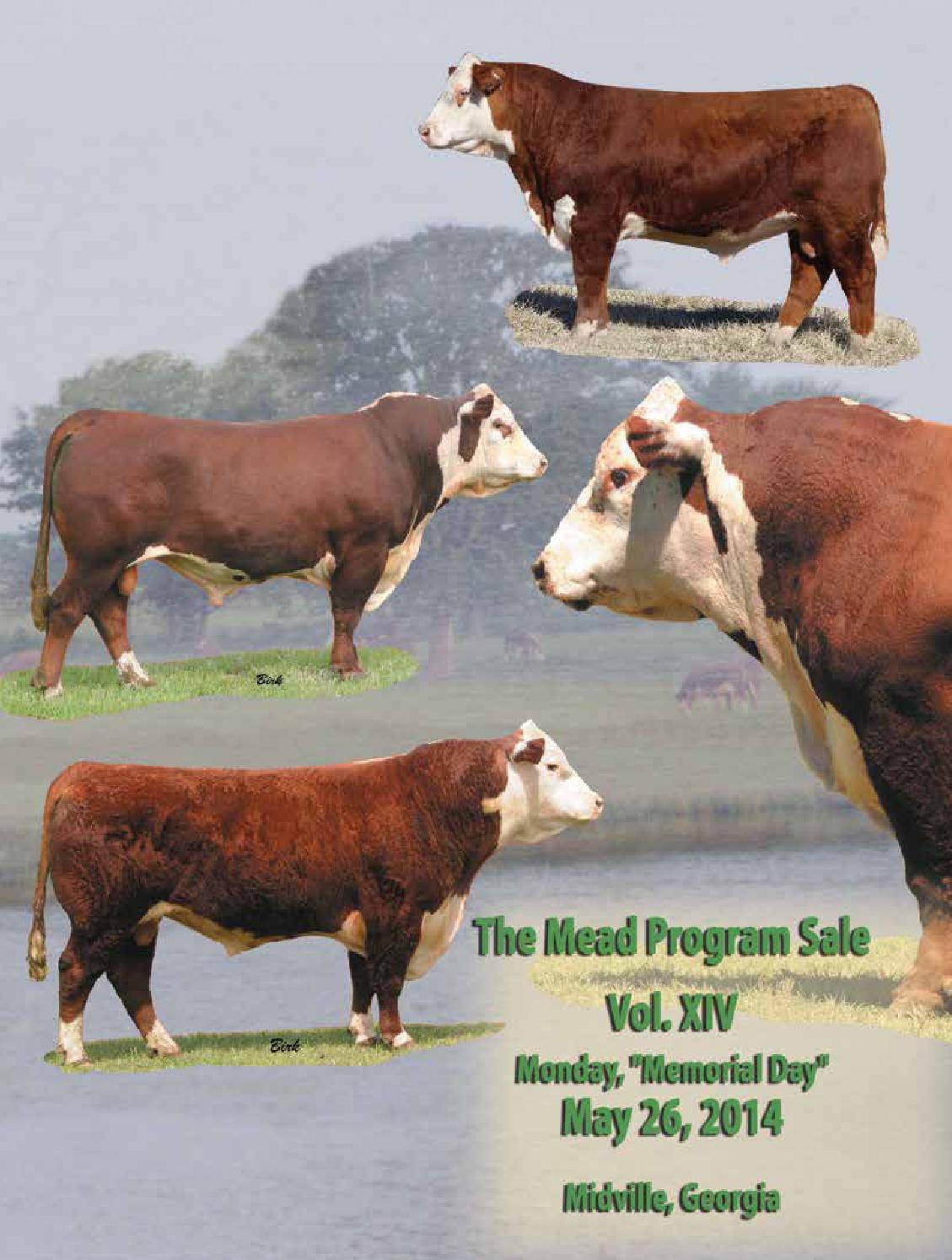 The Mead Program Sale XIV by Cattle In Motion, LLC - Issuu