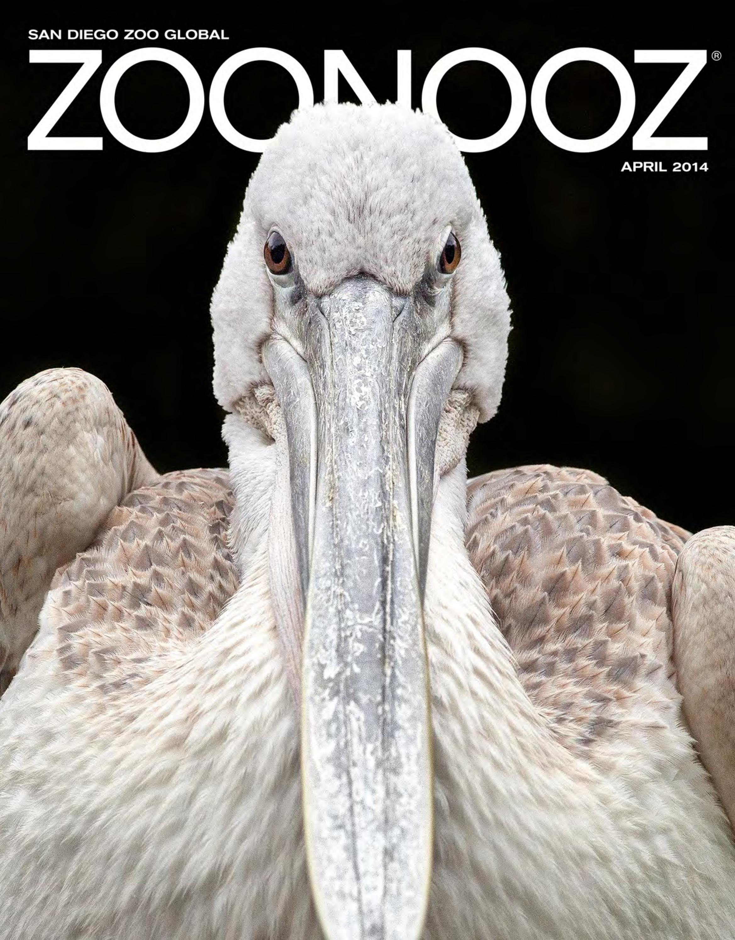 ZOONOOZ April 2014 by San Diego Zoo Wildlife Alliance - Issuu
