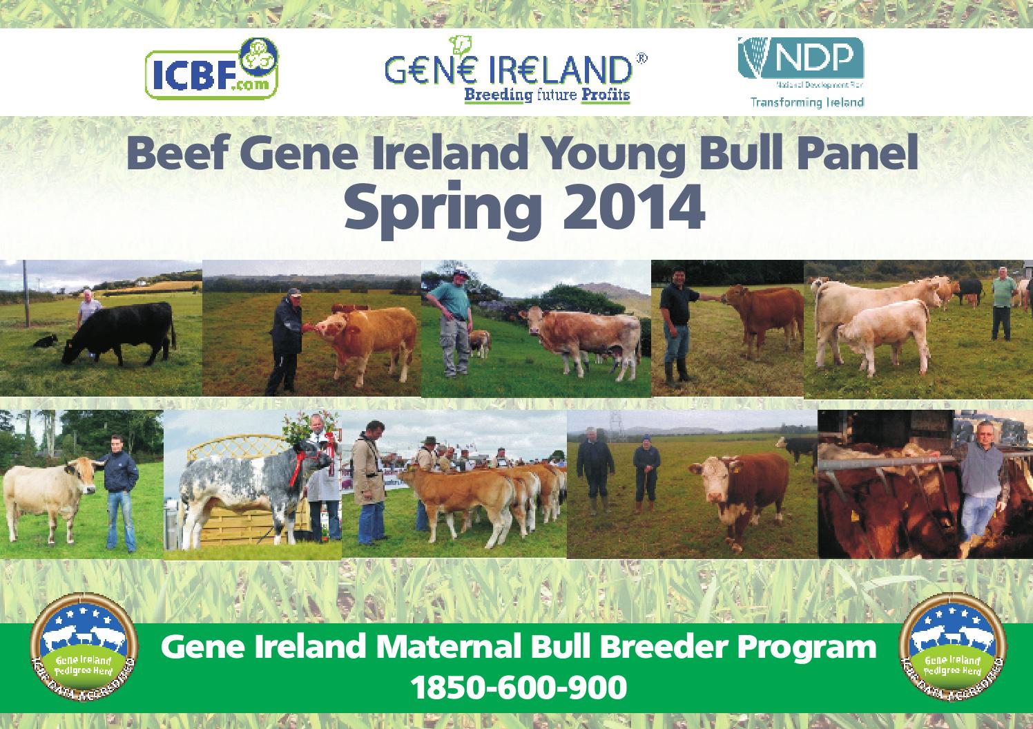 Gene Ireland Young Bull Panel Spring 2014 by ICBF - Issuu