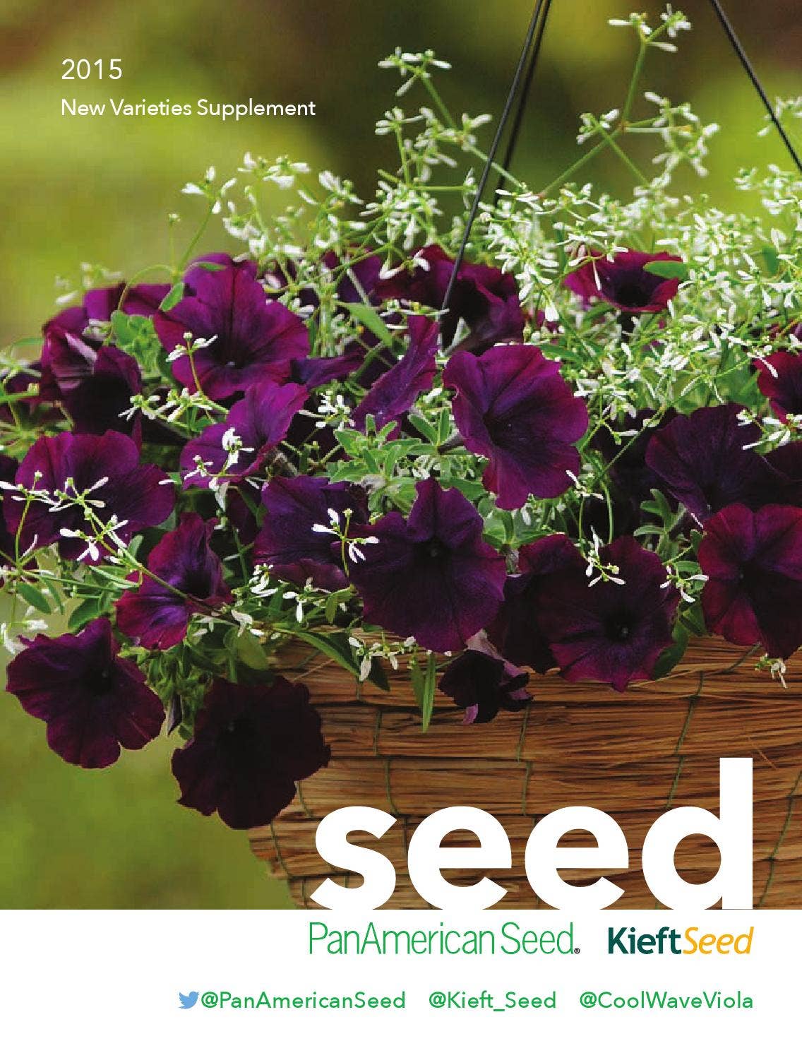 PanAmerican Seed and Kieft Seed by PanAmerican Seed - Issuu