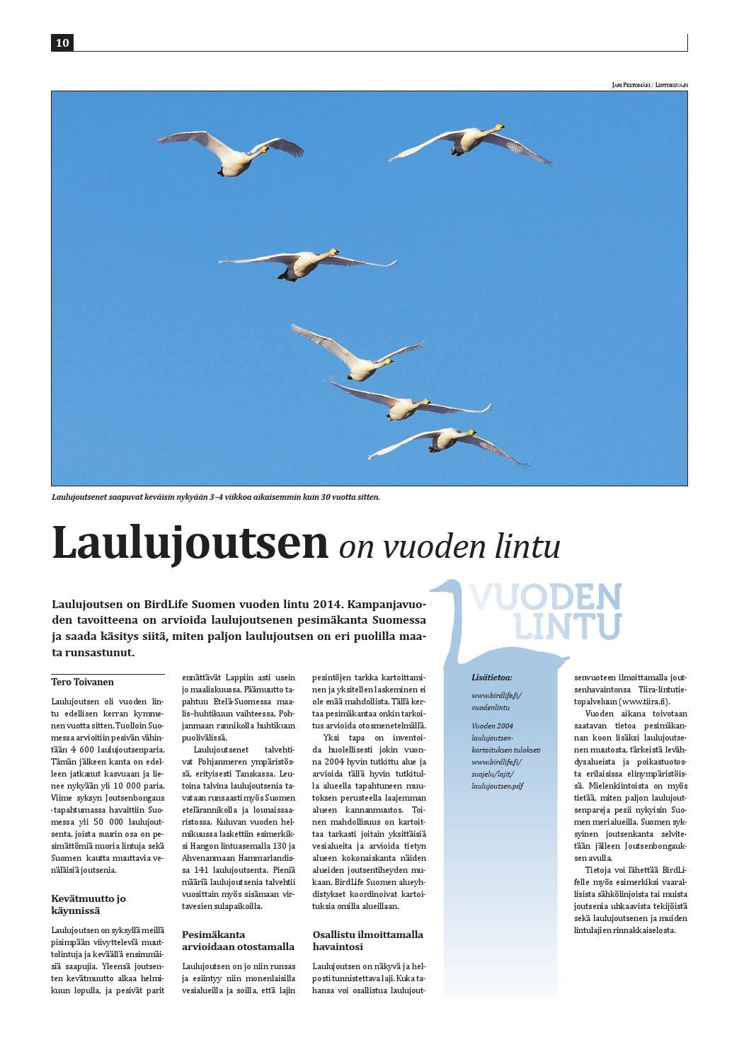 Tiira 1/2014 by BirdLife Suomi - Issuu