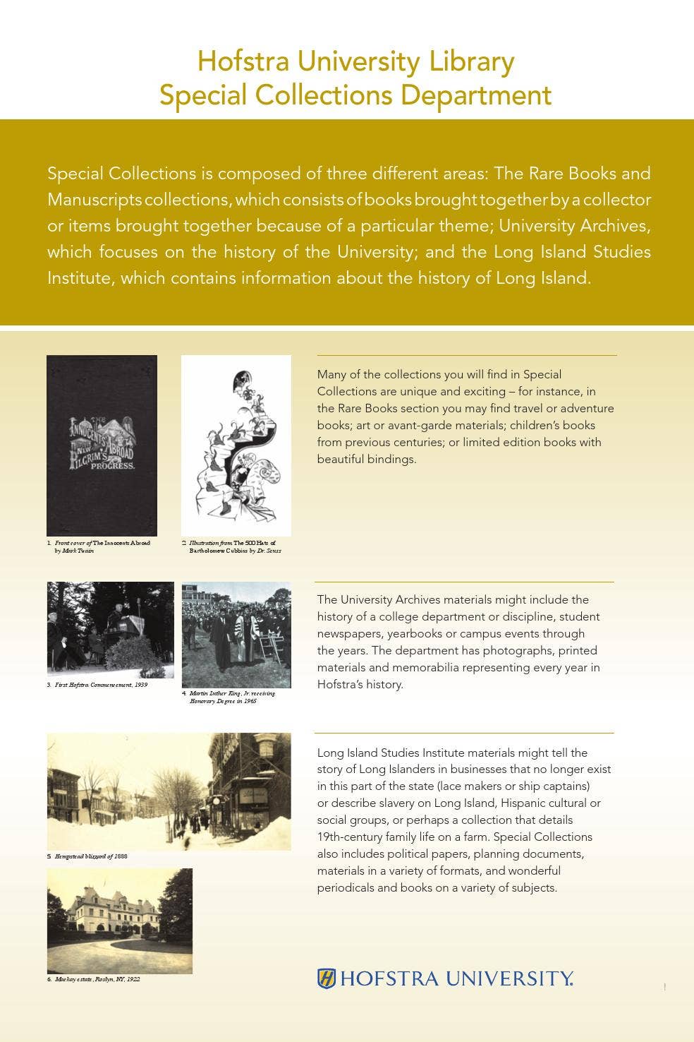 Geri Solomon by Hofstra University - Issuu