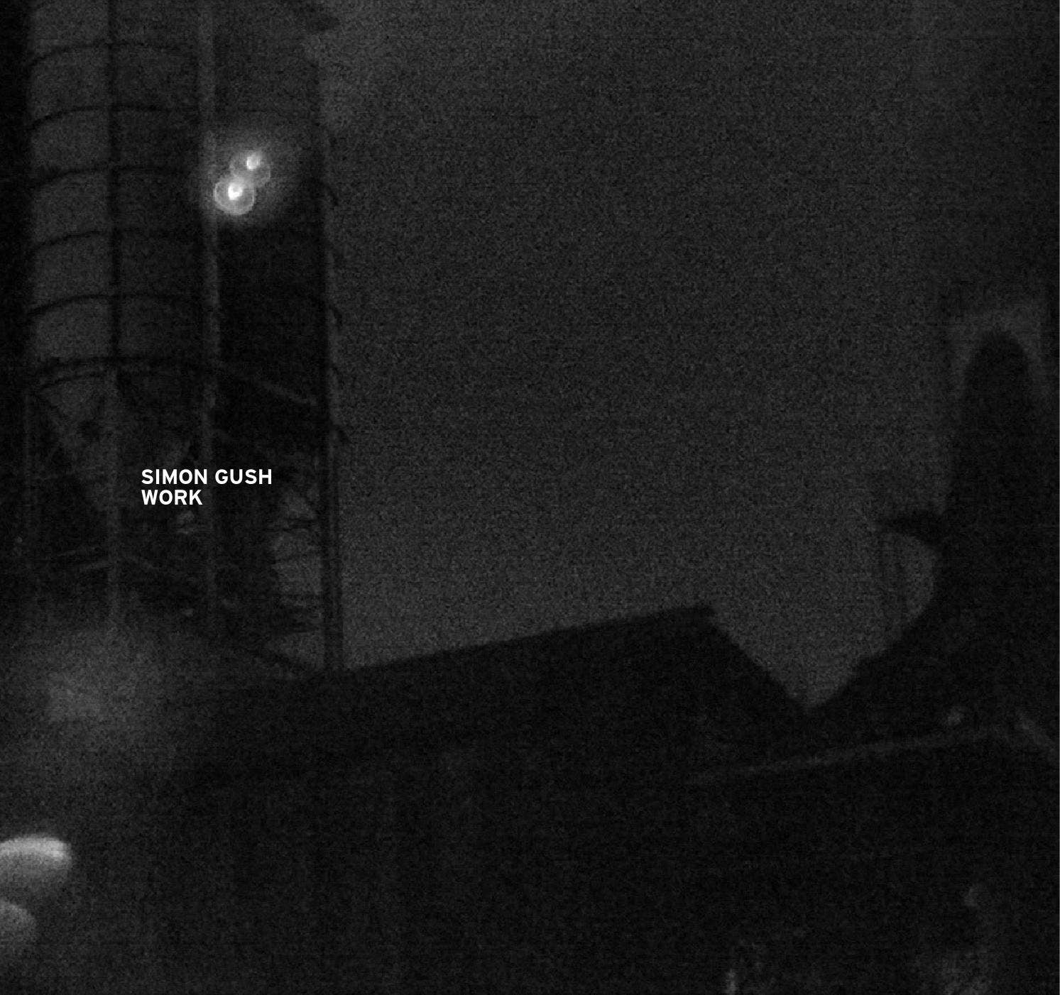 Simon Gush: Work by Stevenson - Issuu
