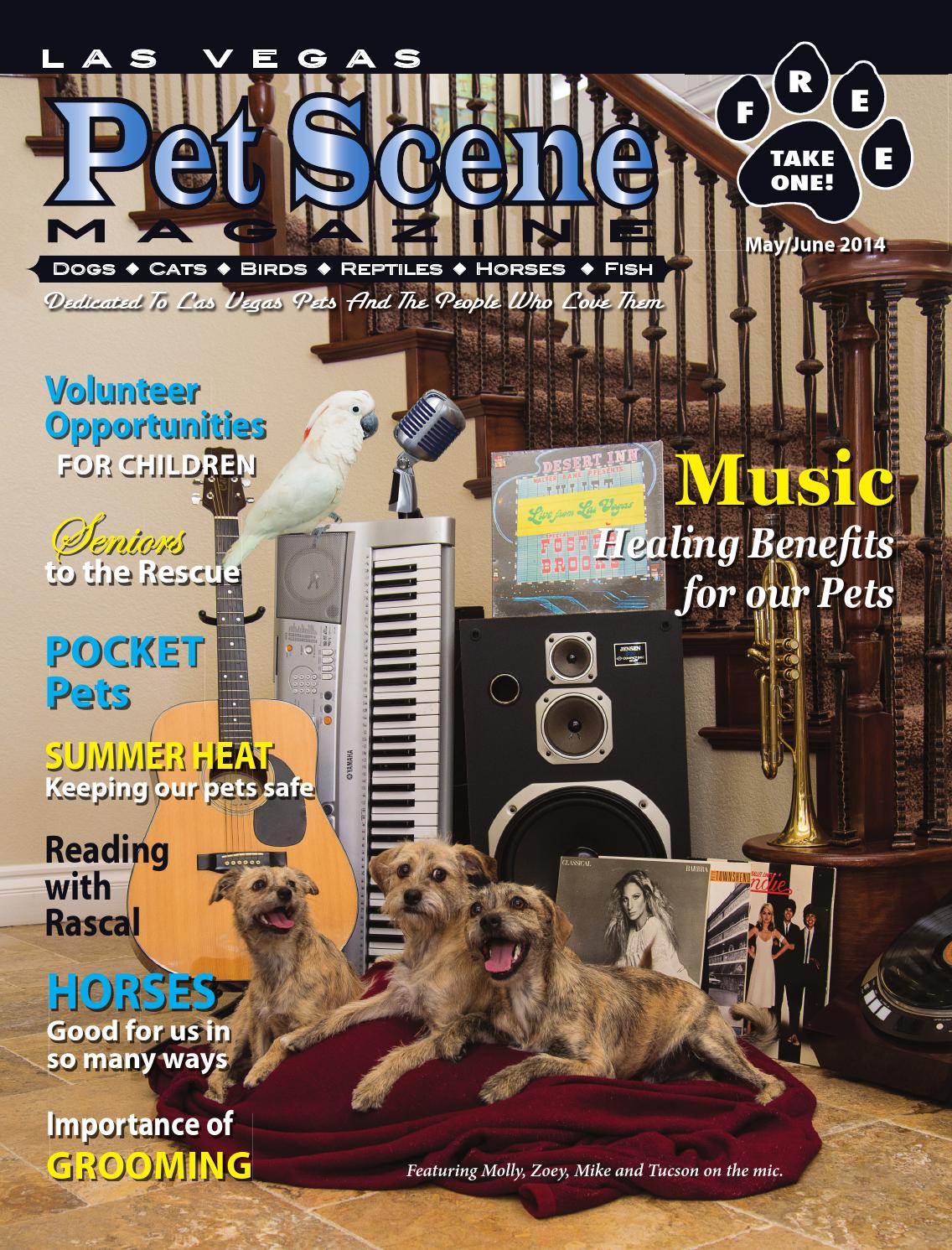 Las Vegas Pet Scene Magazine - May/June 2014 by Homes Illustrated/LV ...