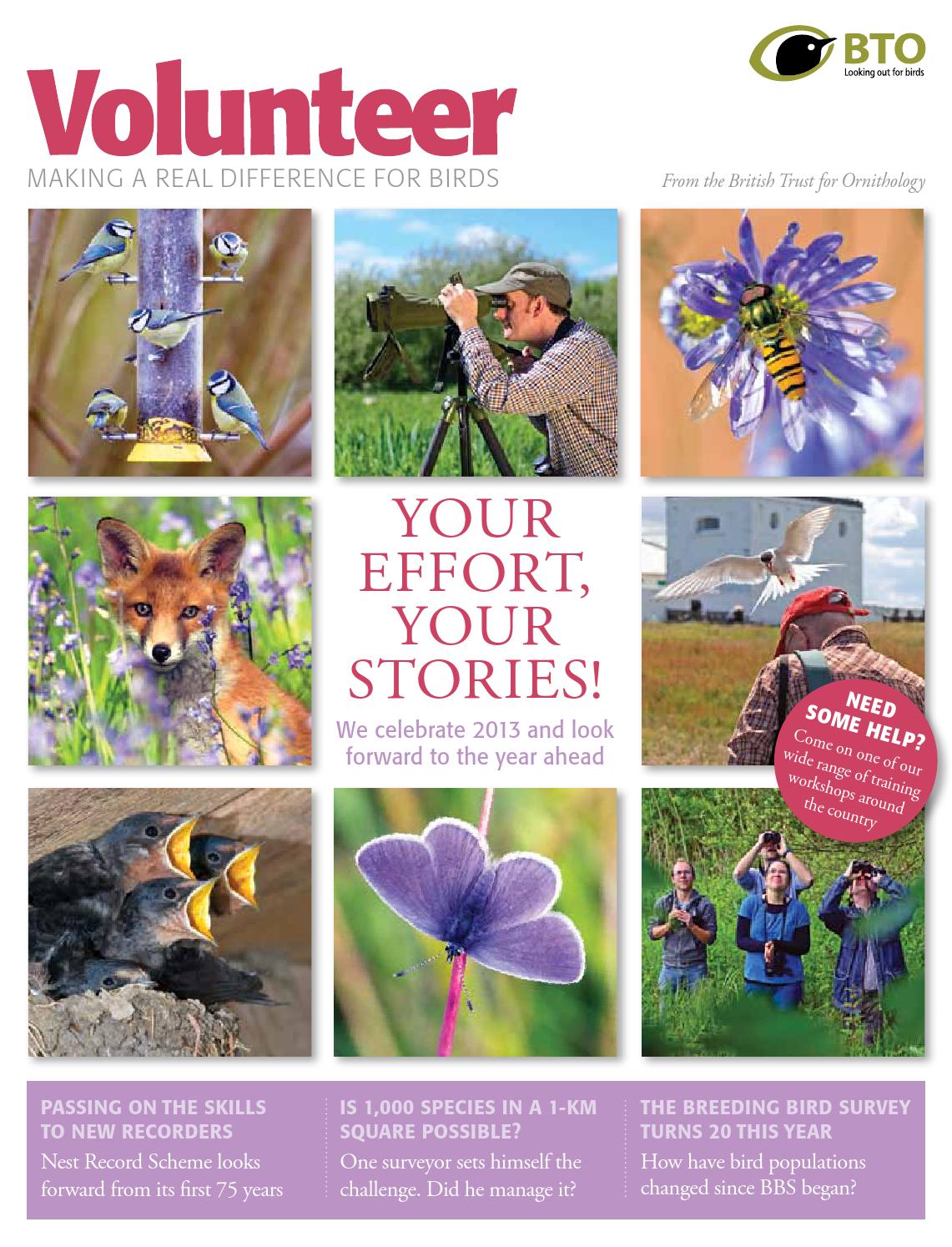 BTO Volunteer magazine 2014 by British Trust for Ornithology - Issuu