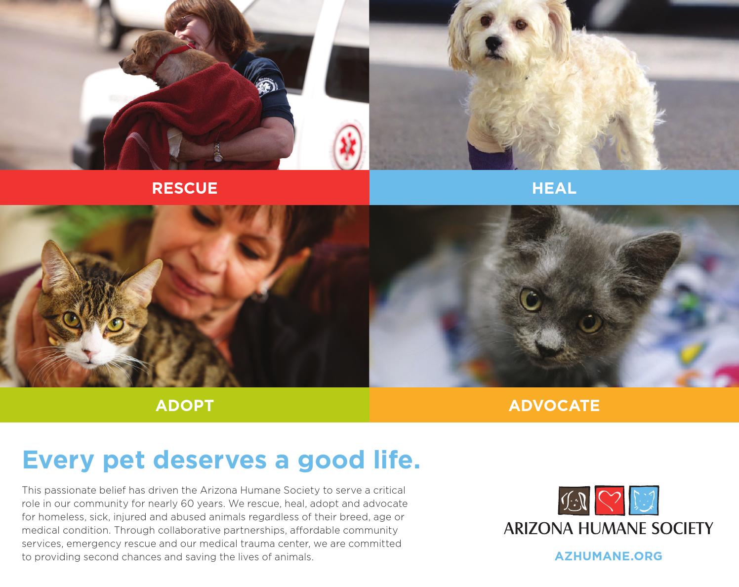 Arizona Humane Society 2013 Annual Report by Arizona Humane Society - Issuu