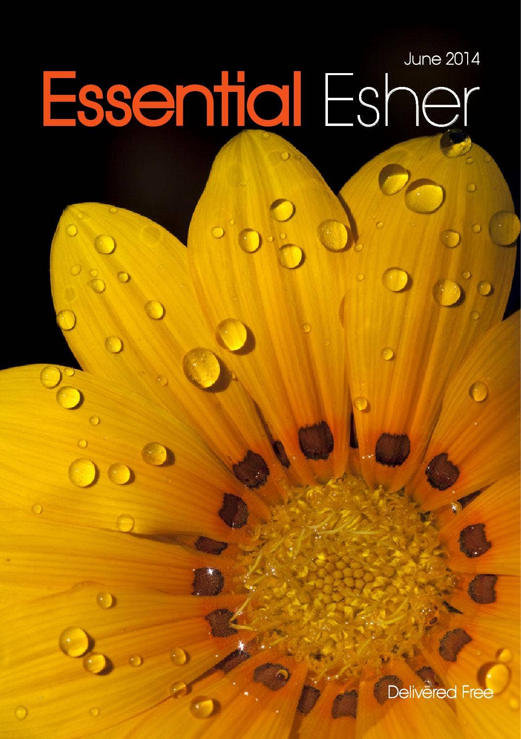 Essential Esher Magazine by Look Local Magazine - Issuu