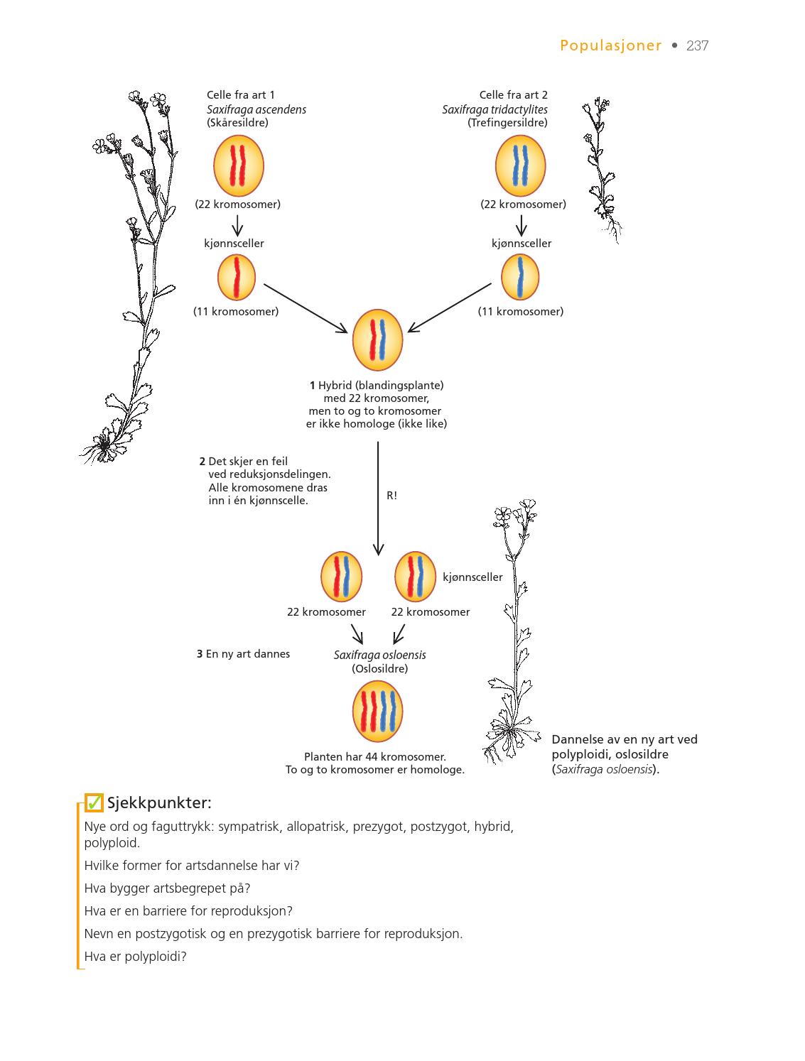 Bi2_biologi by Gyldendal Norsk Forlag - Issuu