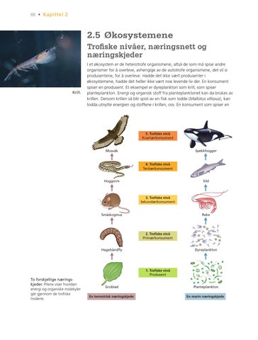 Bi2_biologi by Gyldendal Norsk Forlag - Issuu