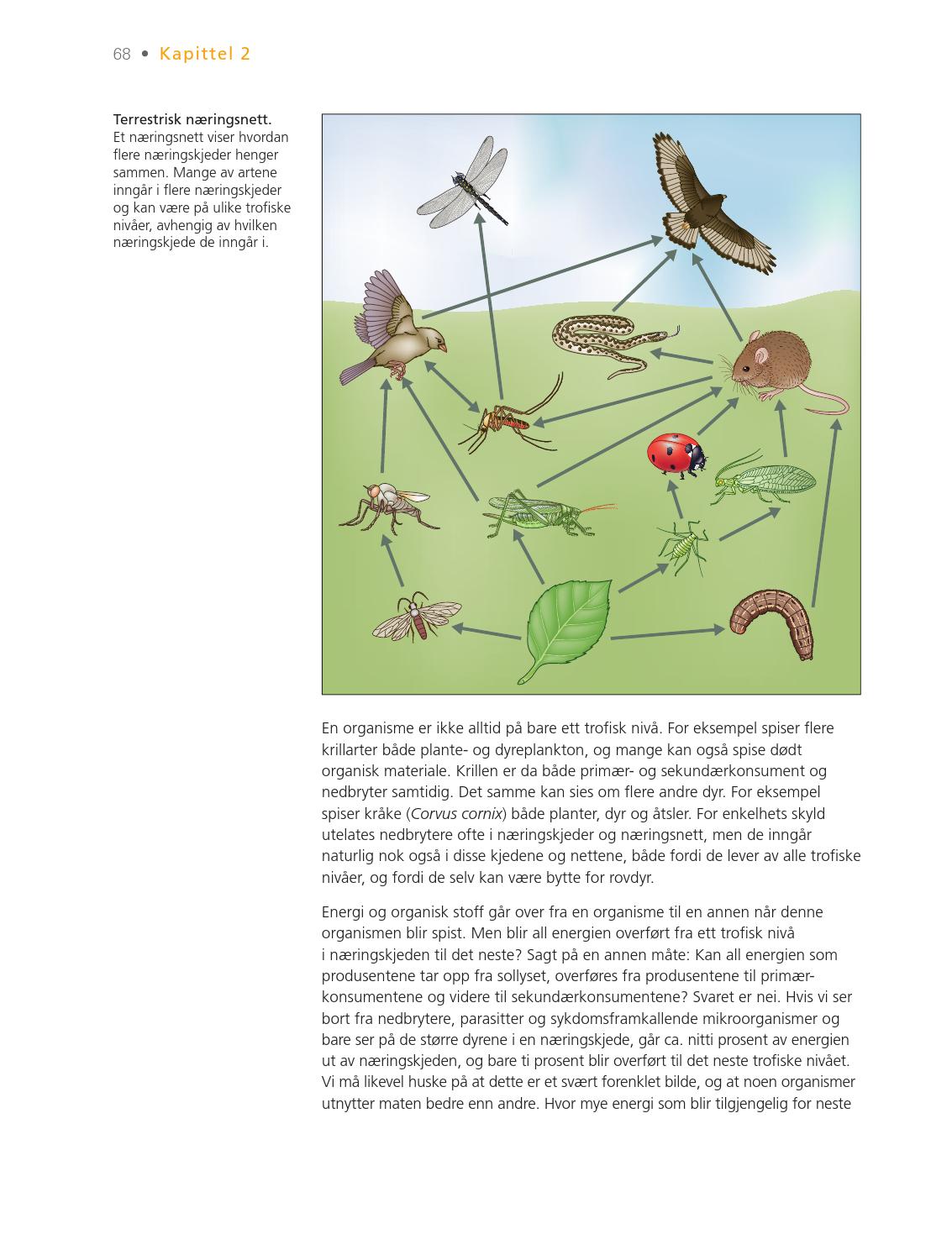 Bi2_biologi by Gyldendal Norsk Forlag - Issuu