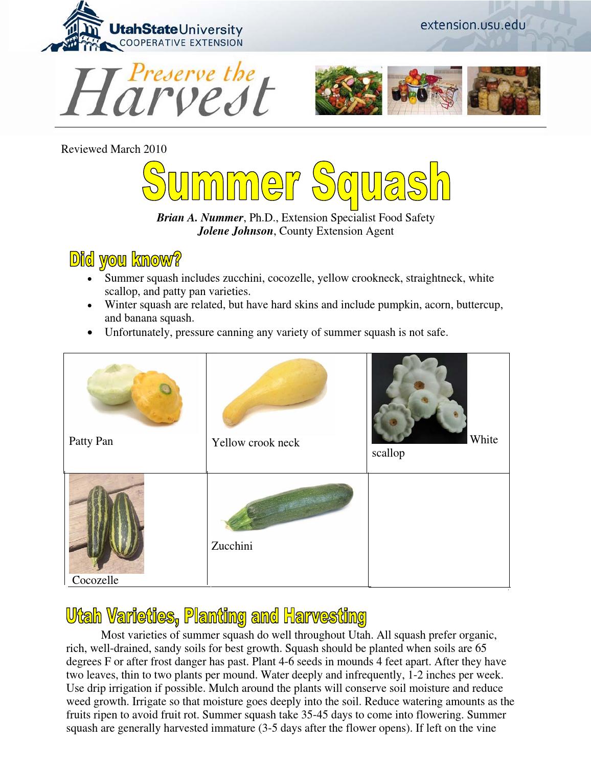 Preserve the Harvest: Summer Squash by Utah State University Extension ...
