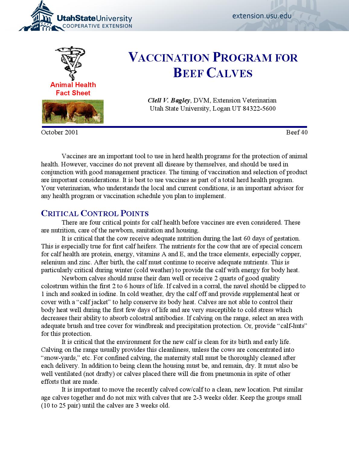 Vaccination Program for Beef Calves by Utah State University Extension ...