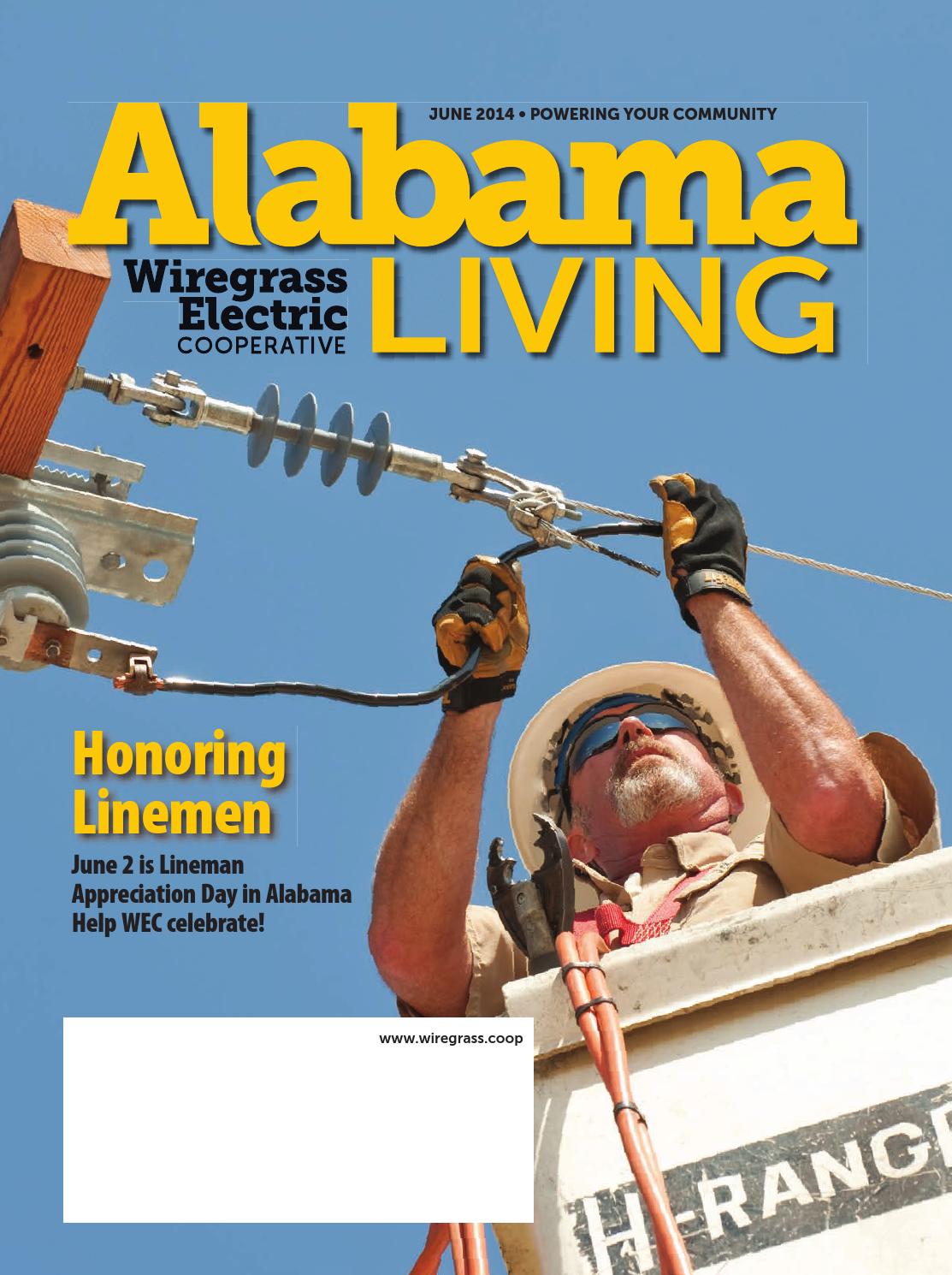 Wiregrass 614 dm by Alabama Living - Issuu