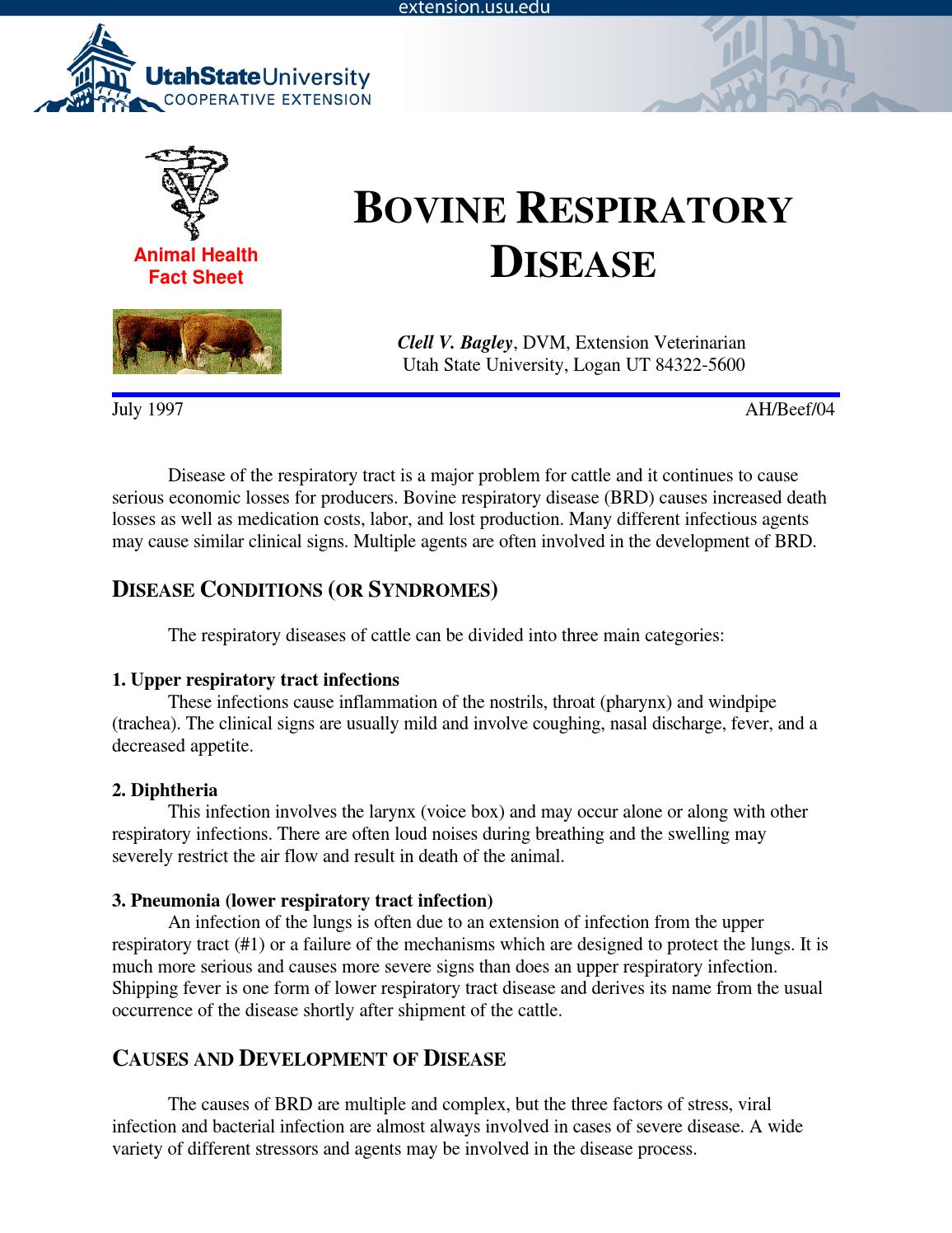 Bovine Respiratory Disease by Utah State University Extension - Issuu