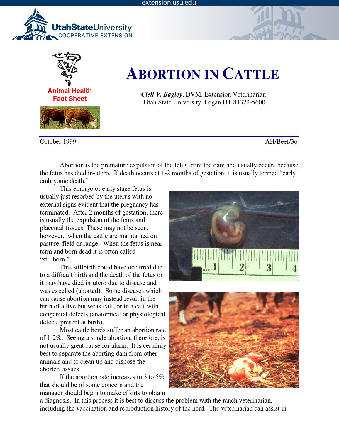 Abortion in Cattle by Utah State University Extension - Issuu