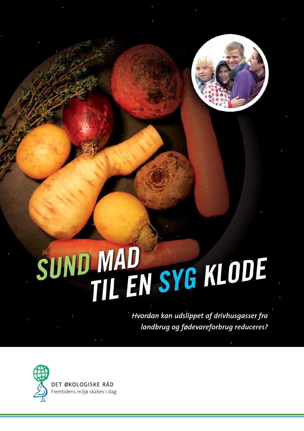 Sund mad til en syg klode by Rådet for Grøn Omstilling - Issuu