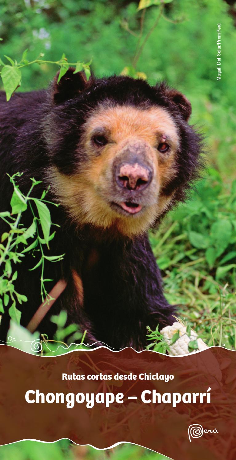 Ruta Chiclayo - Chongoyape - Chaparri by Visit Peru - Issuu