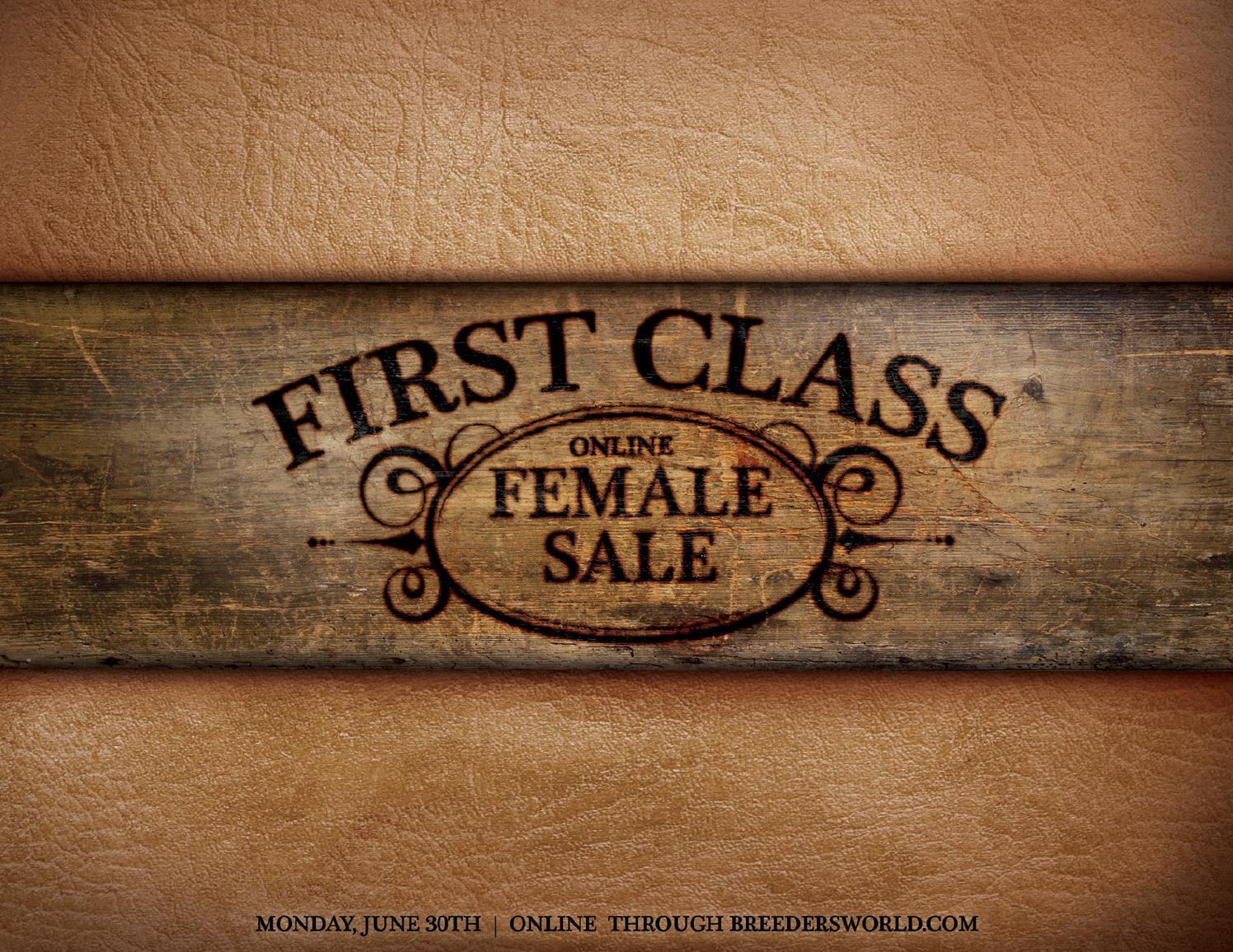 First Class Online Female Sale [Summit Farms & Shuey Stock Farms] by ...