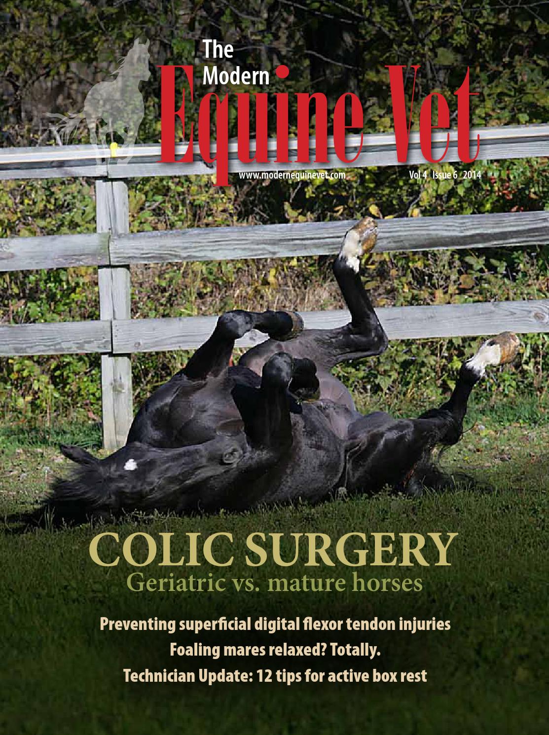 Equinevet June 2014 by The Modern Equine Vet - Issuu