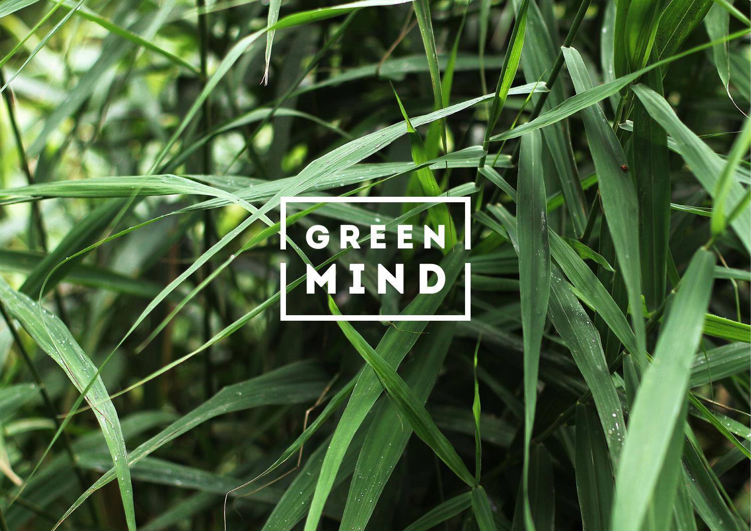 Green mind by Marielle Benedicte Blaalid - Issuu