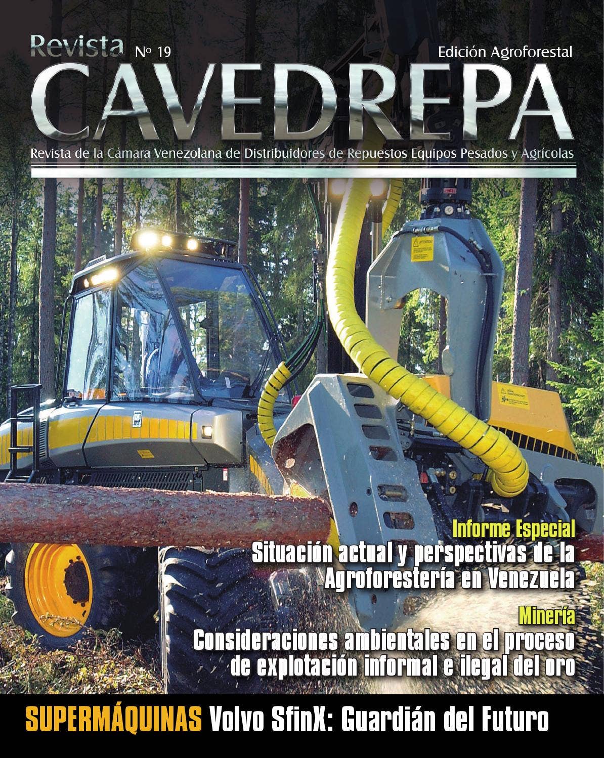 Revista Cavedrepa 19 by rrodriguez - Issuu
