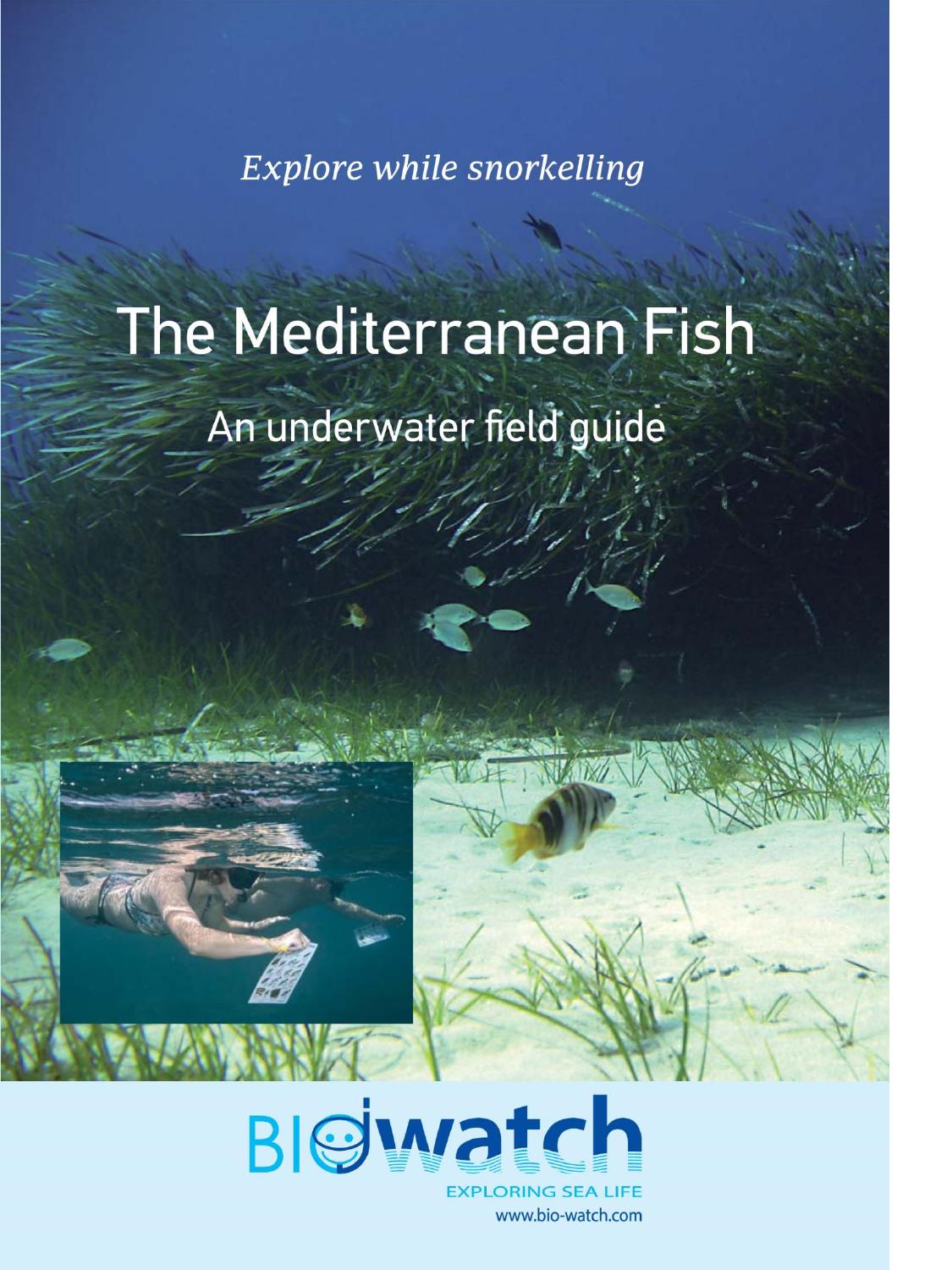 Sample Book BioWatch by Alexandros Roniotis - Issuu