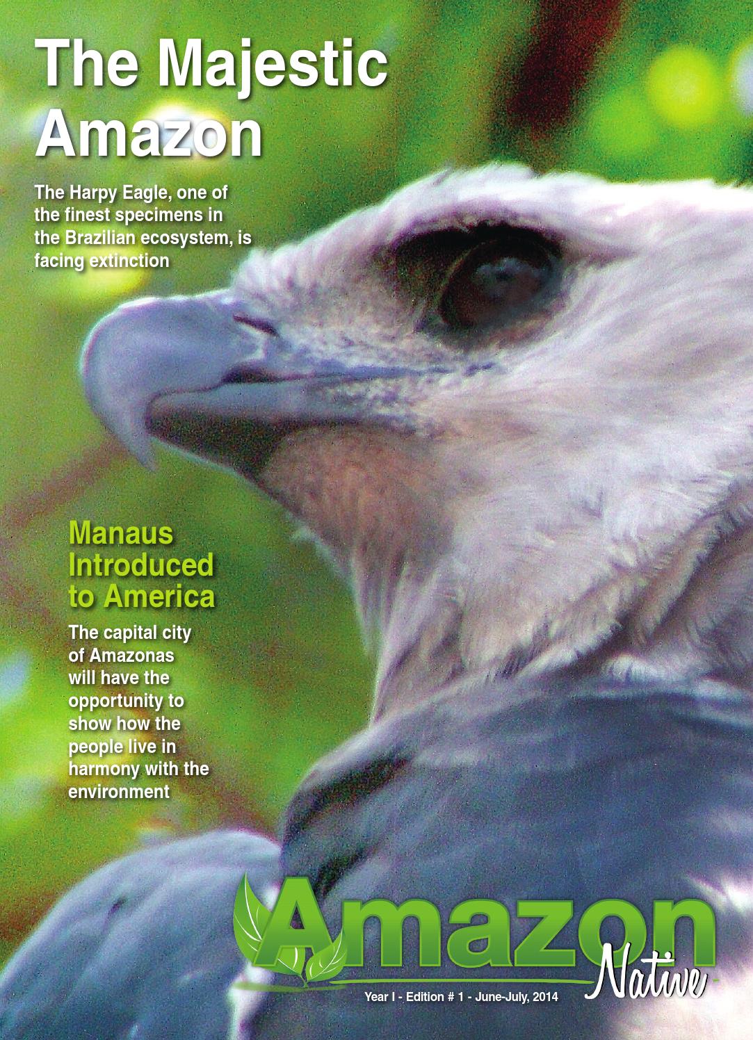Native Amazon Magazine by Amazônia Nativa - Issuu