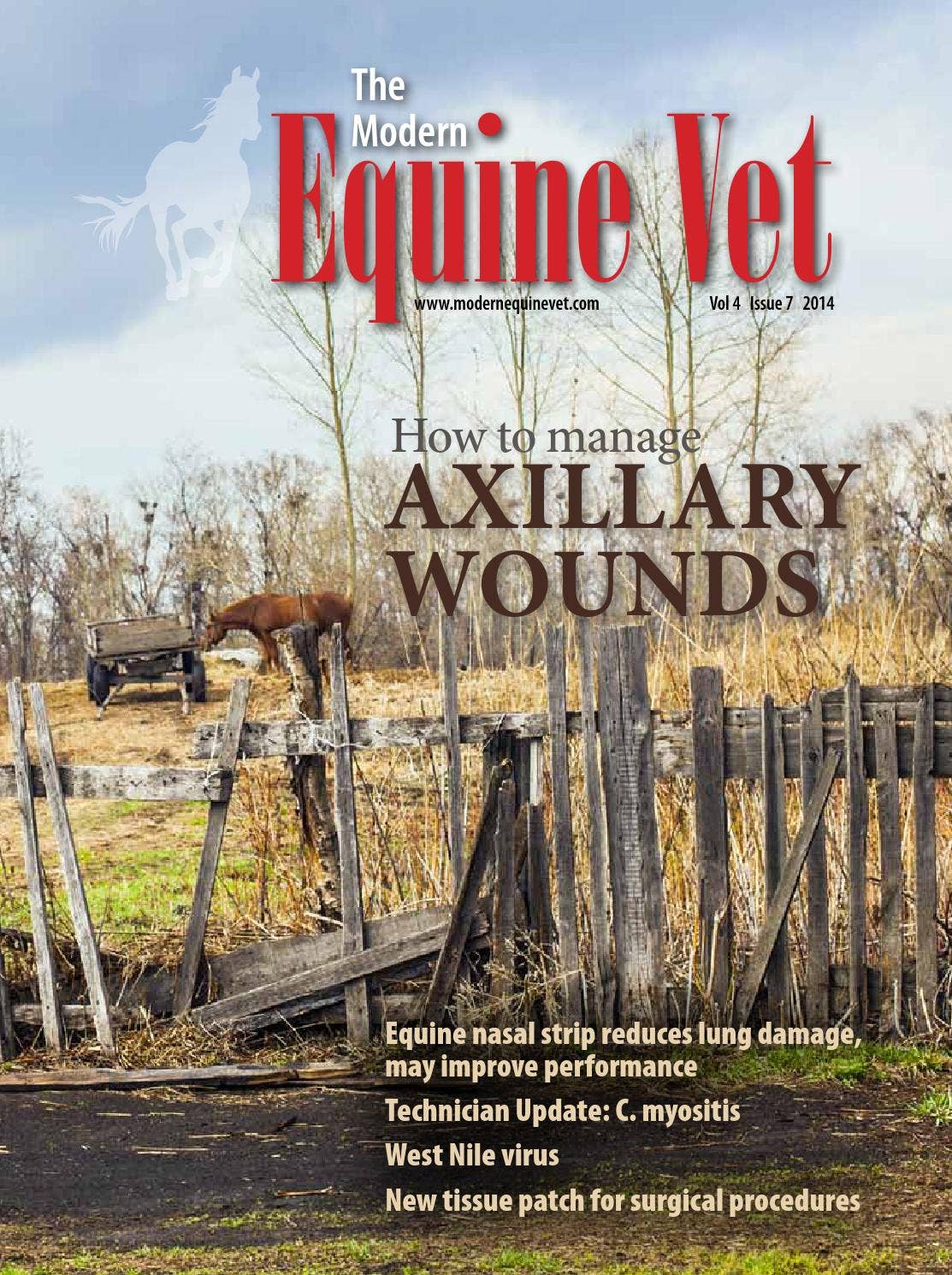 Equinevet july2014 by The Modern Equine Vet - Issuu