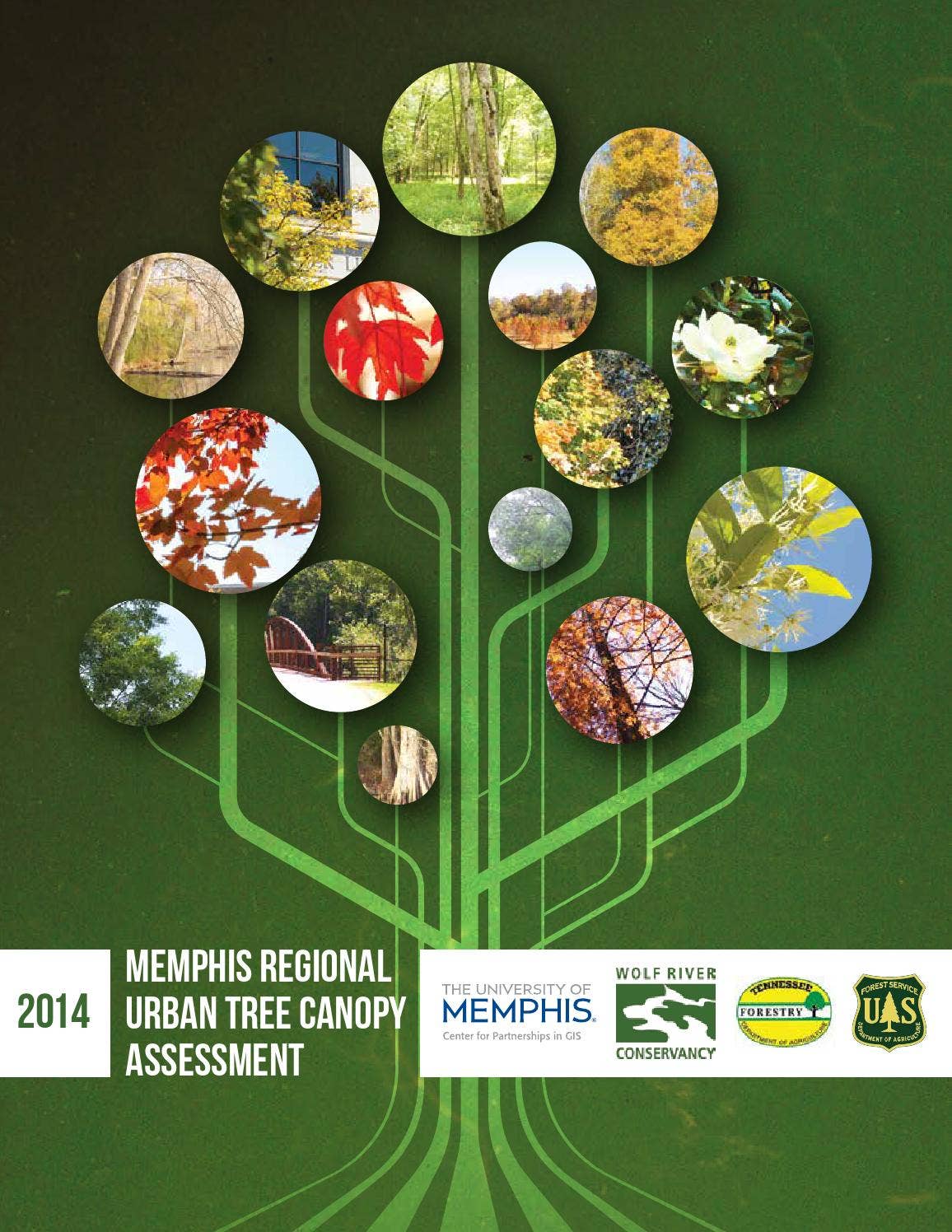 CPGIS Tree Canopy Report by University of Memphis - Issuu