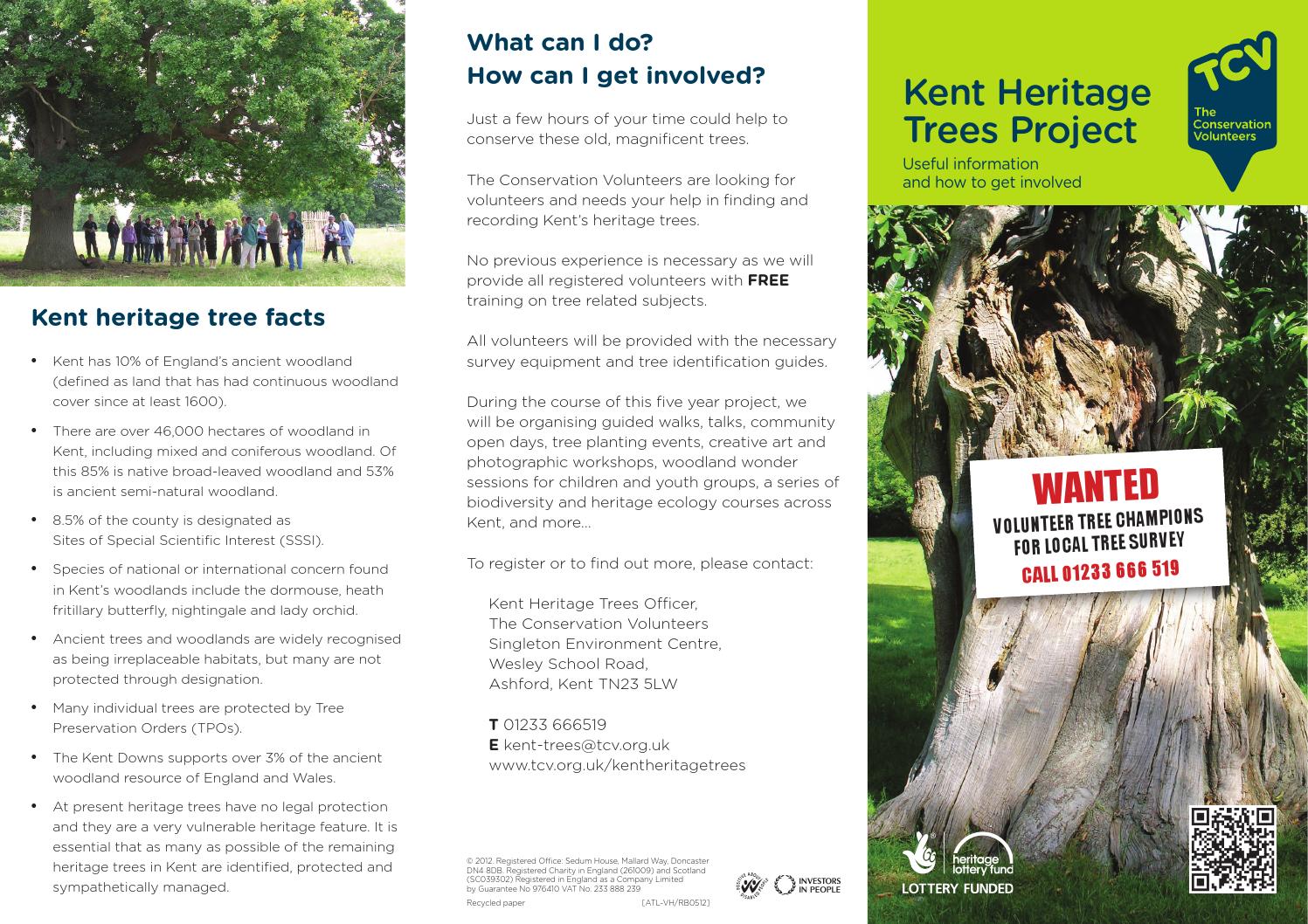 tcv Kent Ancient Trees leaflet by Rob Bowker - Issuu
