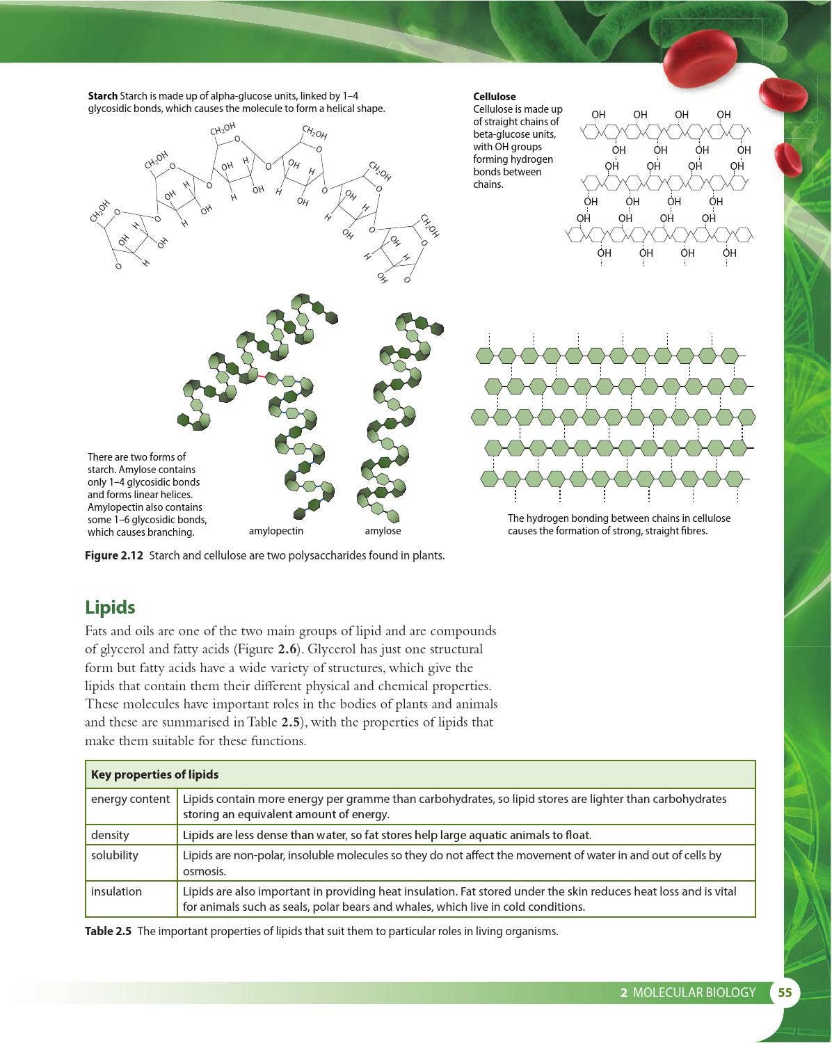 Biology for the IB Diploma (second edition) by Cambridge International ...