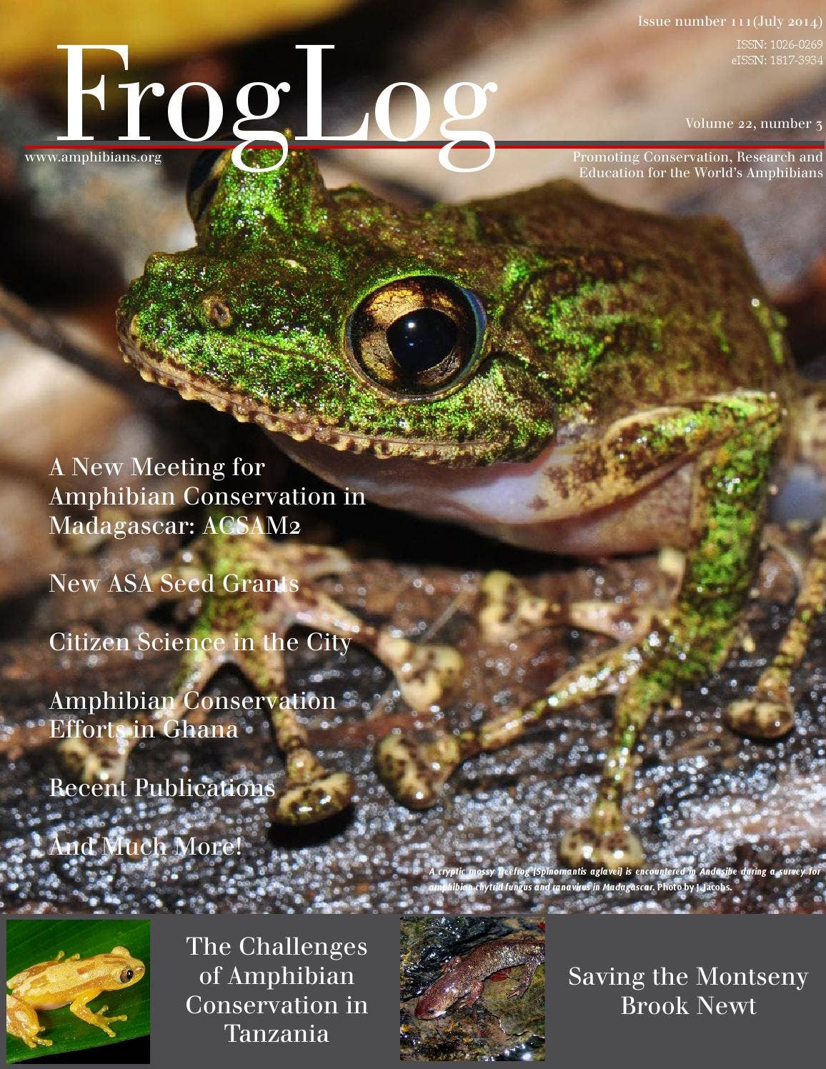 FrogLog 111 by Amphibian Survival Alliance - Issuu