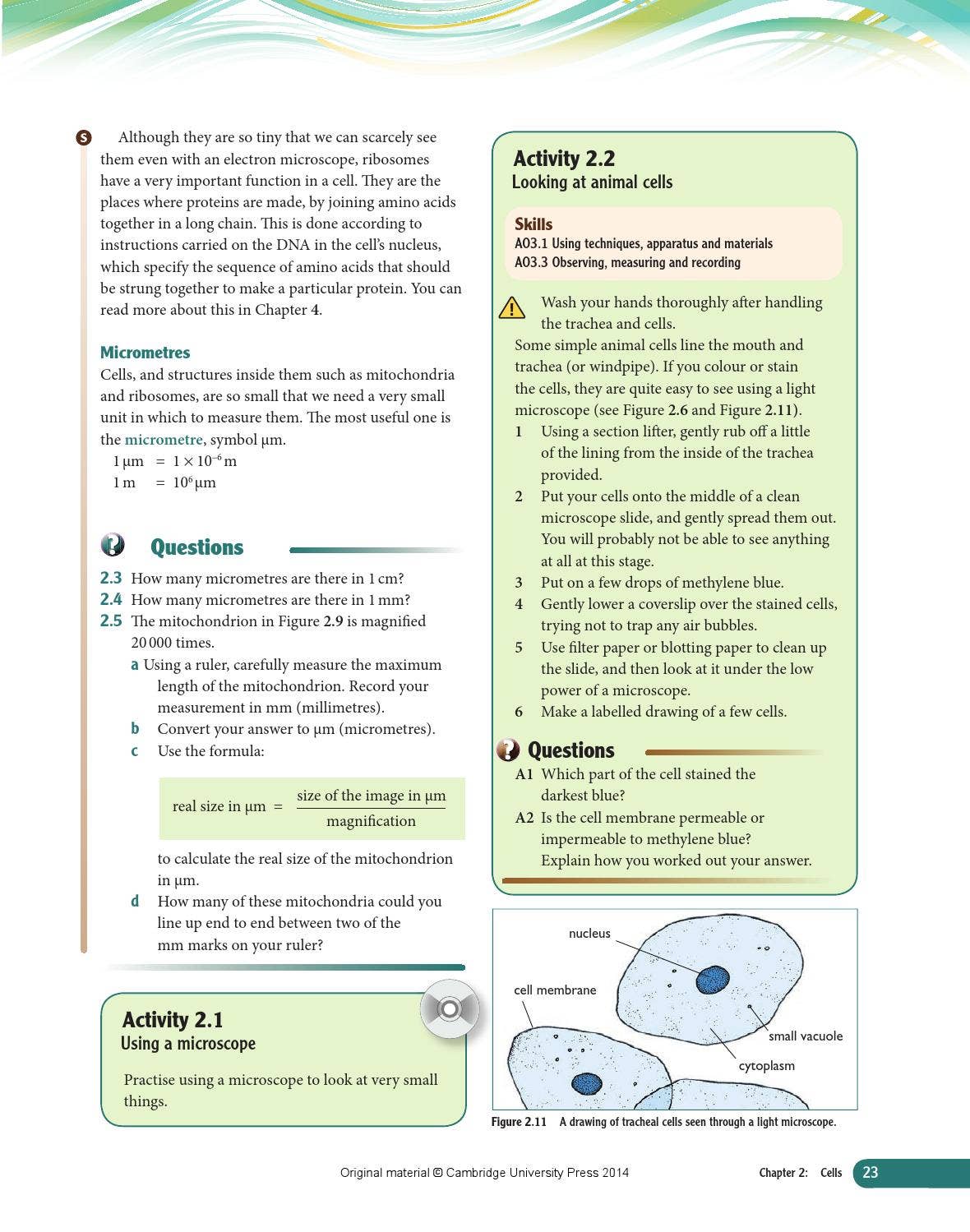 Cambridge IGCSE Biology Coursebook (third edition) by Cambridge ...