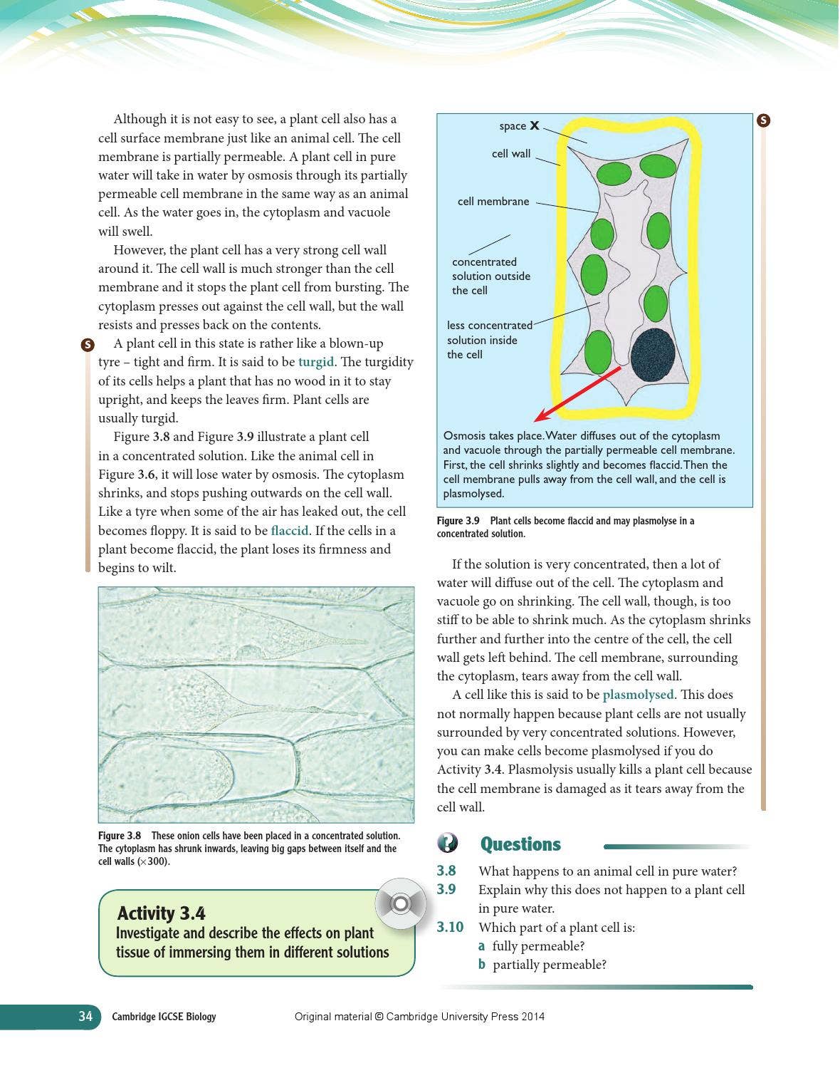 Cambridge IGCSE Biology Coursebook (third edition) by Cambridge ...