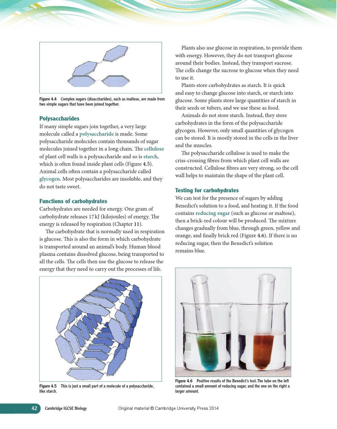 Cambridge IGCSE Biology Coursebook (third edition) by Cambridge ...