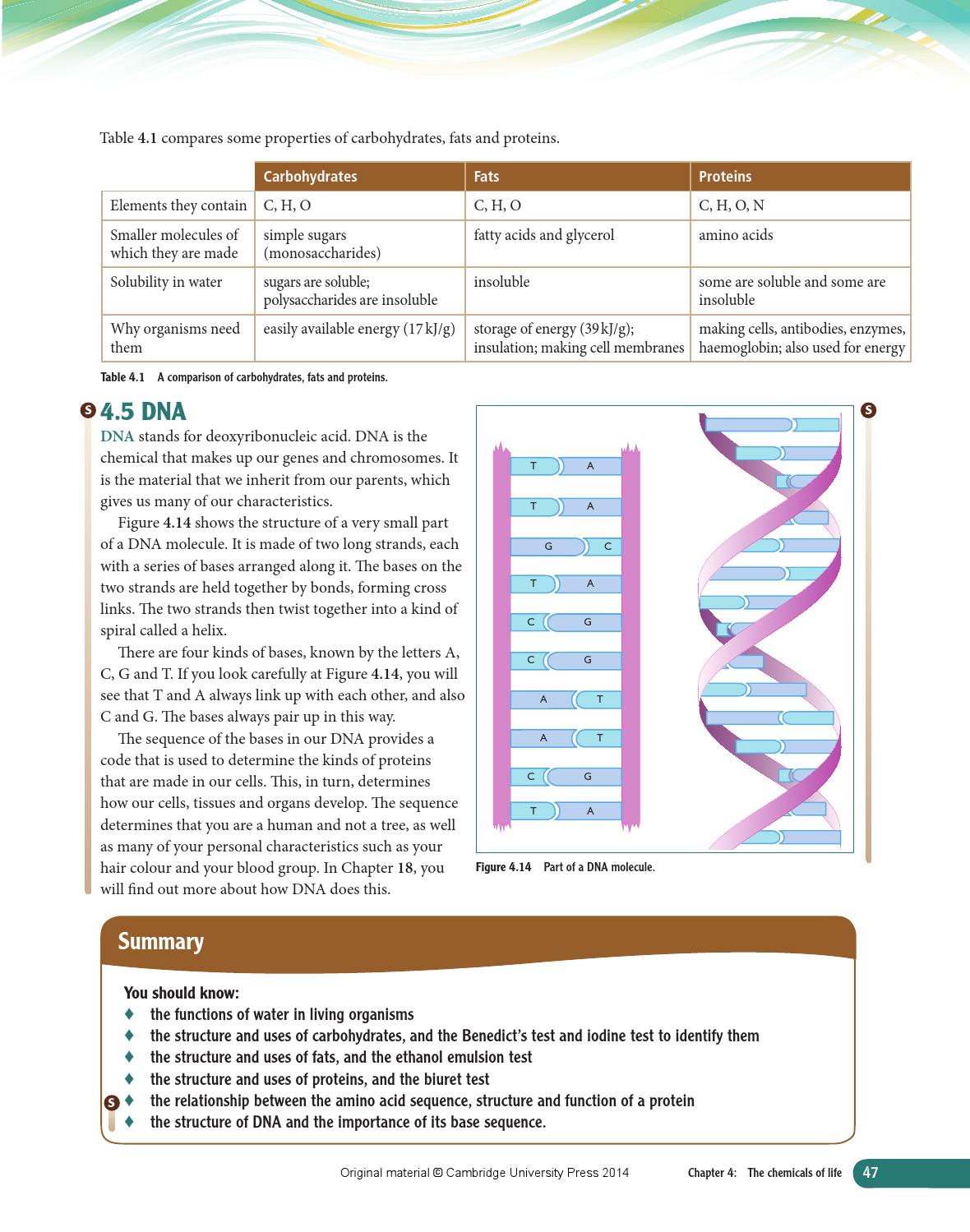 Cambridge IGCSE Biology Coursebook (third edition) by Cambridge ...